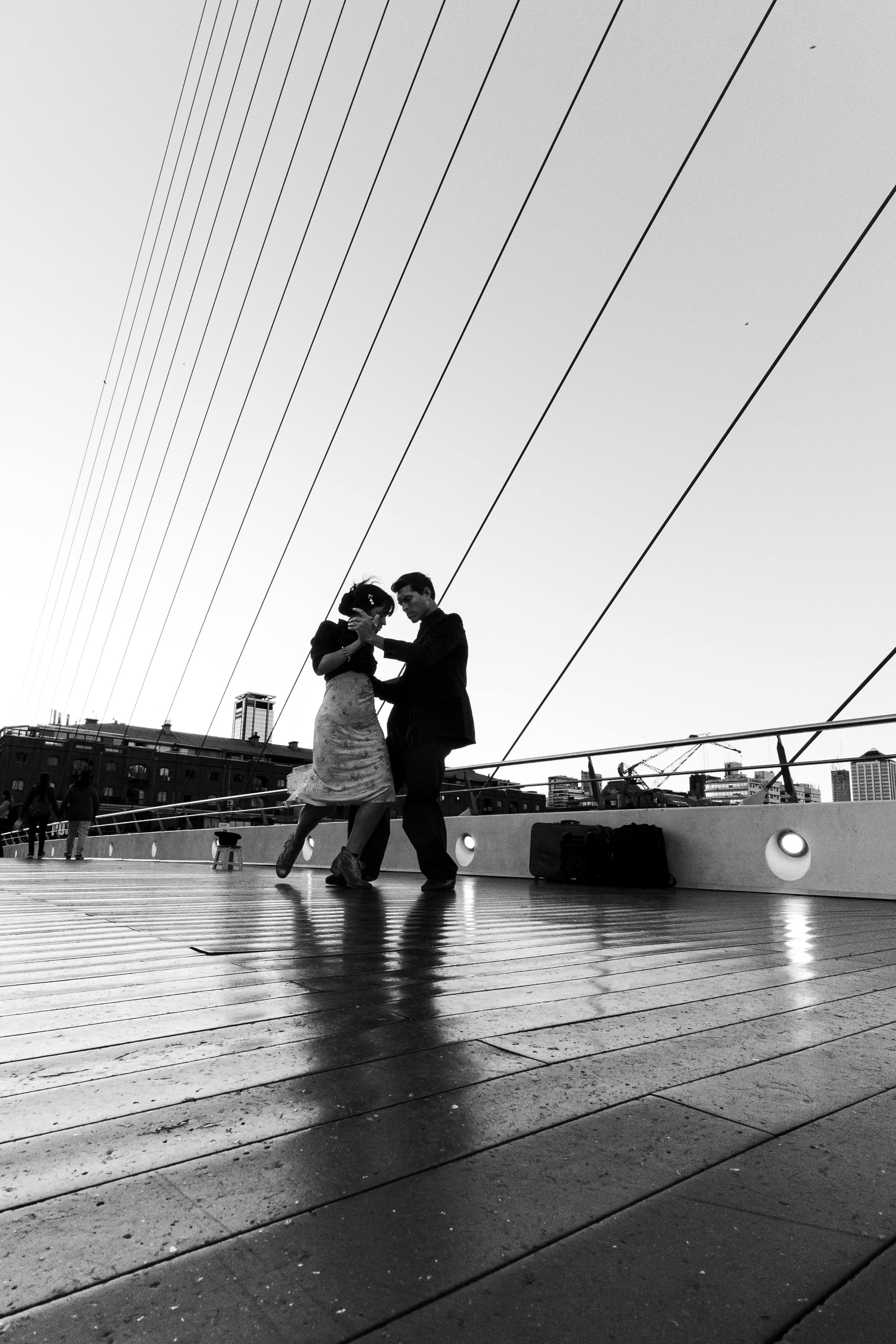 Razorbill+Pair+In+Bolungarvík,+Iceland Photos, Download The BEST Free ...