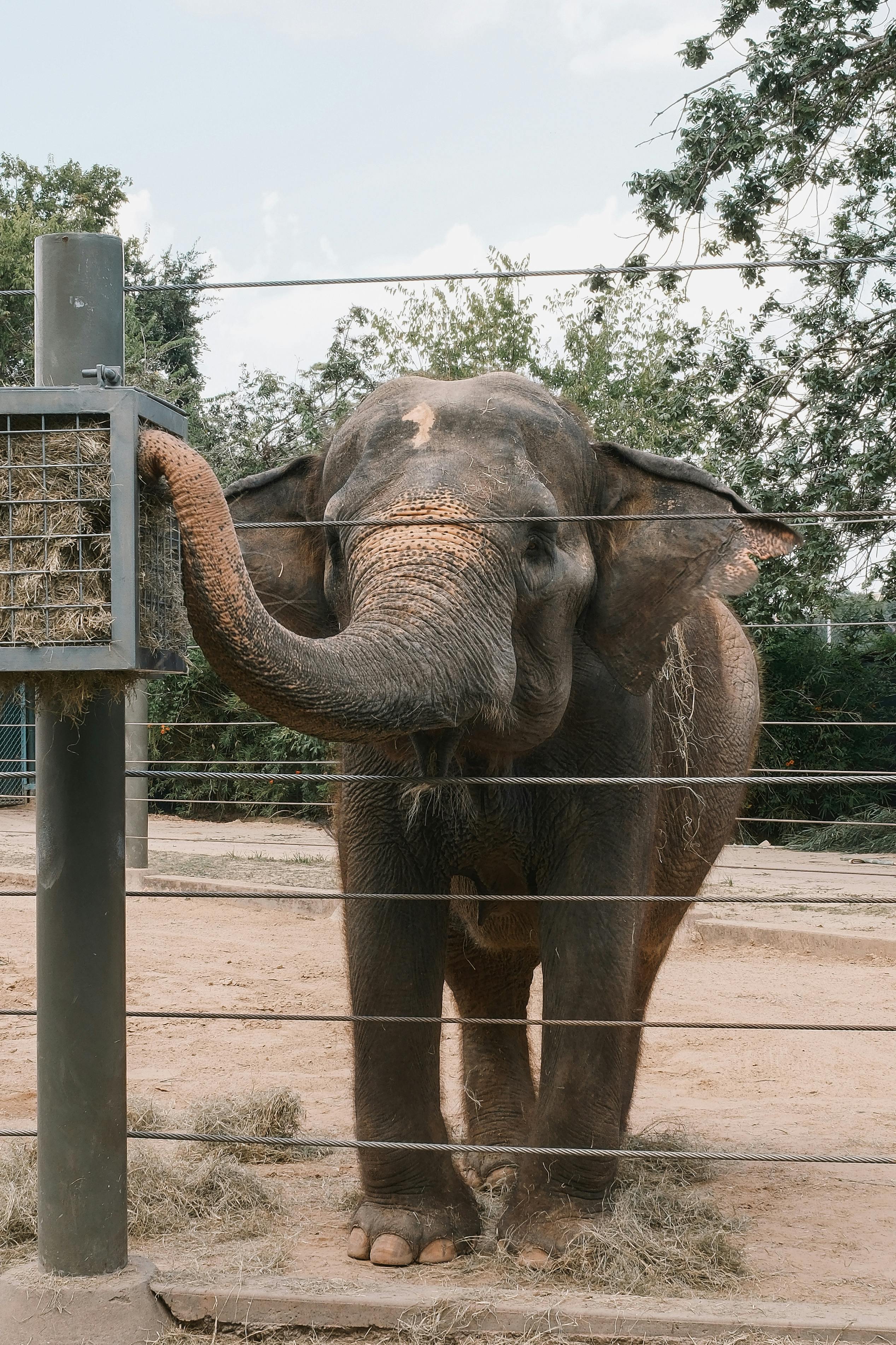 Anime+Goon+Wallpaper Photos, Download The BEST Free Anime+Goon ...