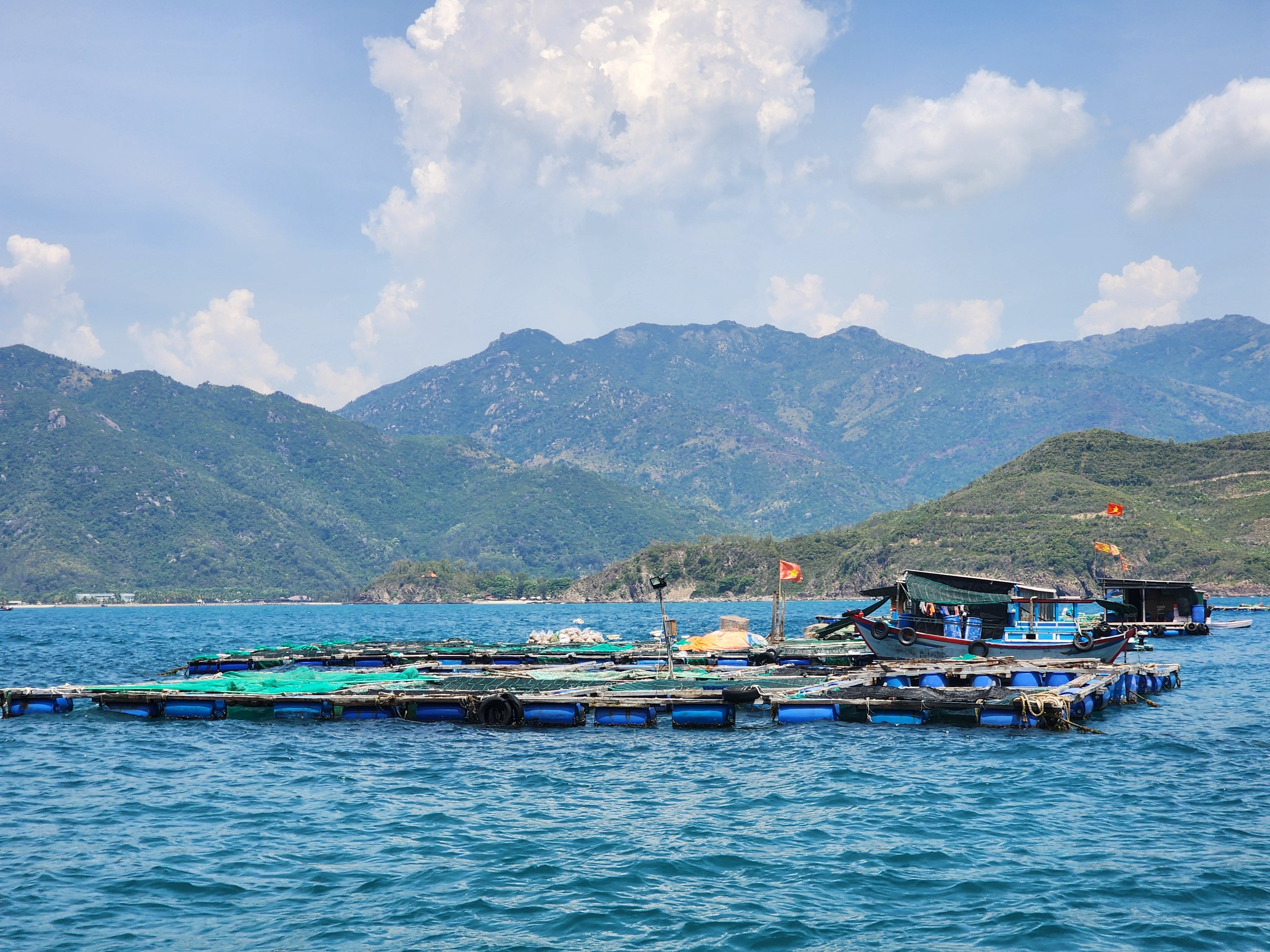 Fish Farming Photos, Download The BEST Free Fish Farming Stock Photos ...