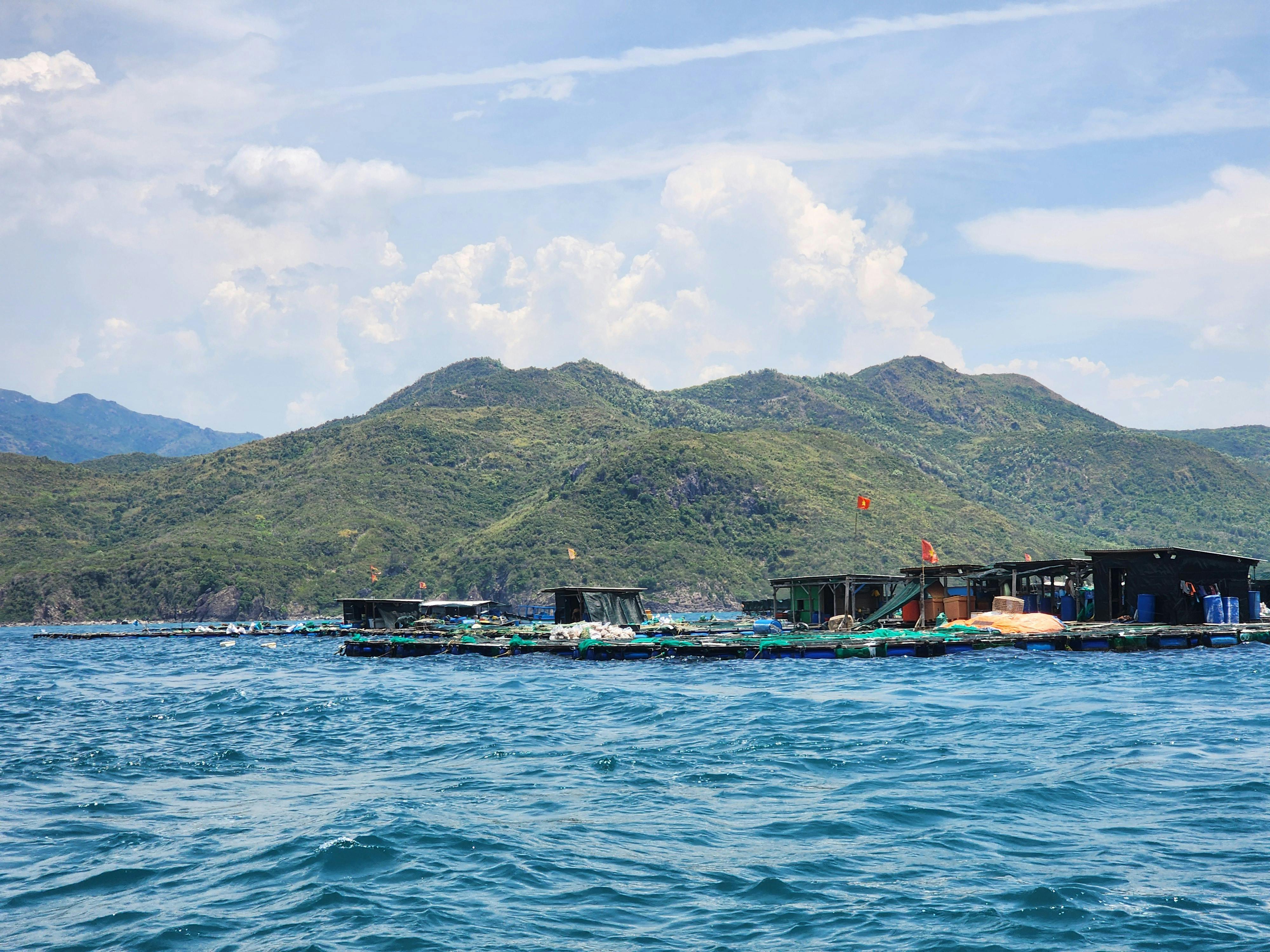 Raft Photos, Download The BEST Free Raft Stock Photos & HD Images