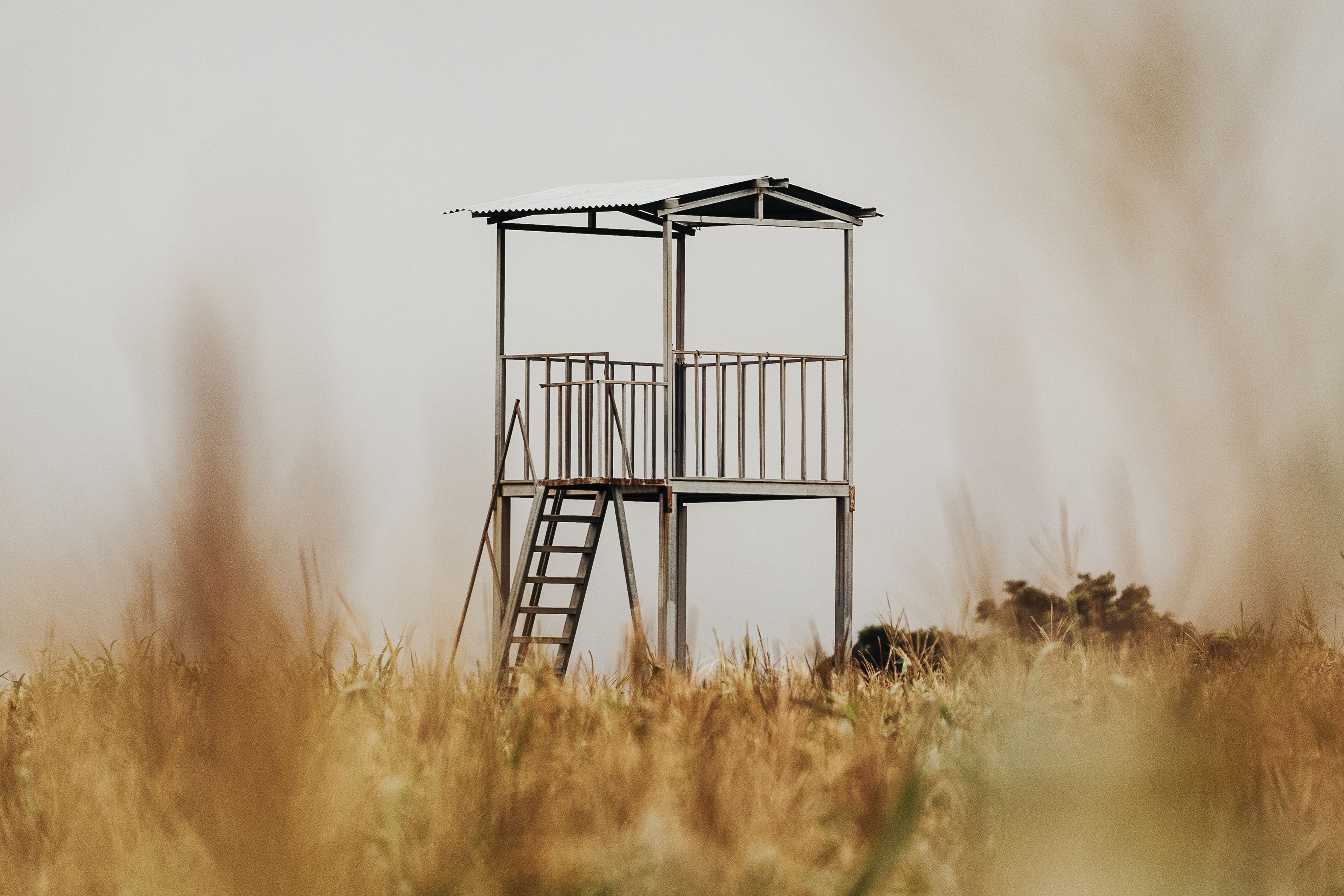 Rustic Watchtower in Field of El Salvador · Free Stock Photo