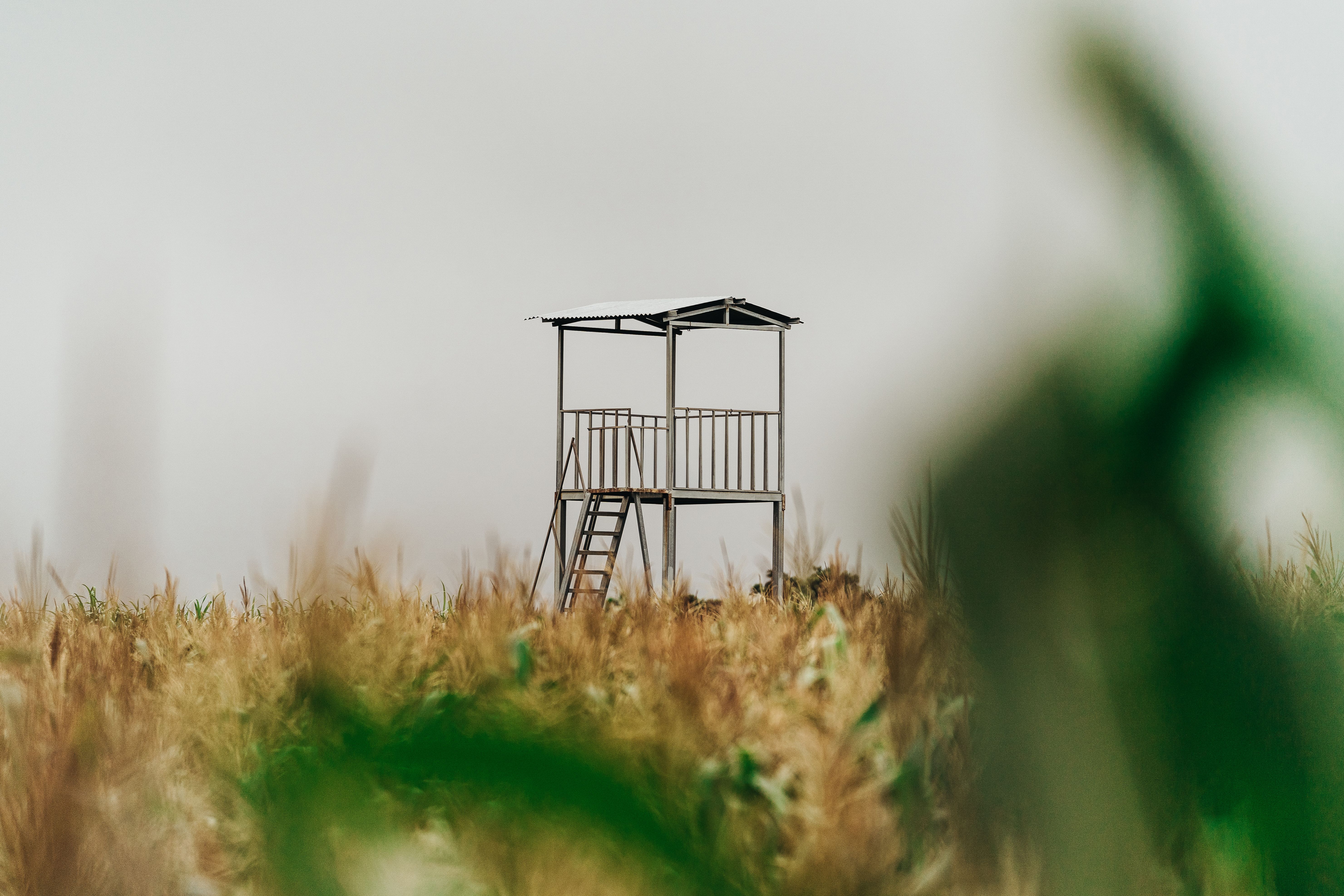 Isolated Watchtower in El Salvador Field · Free Stock Photo