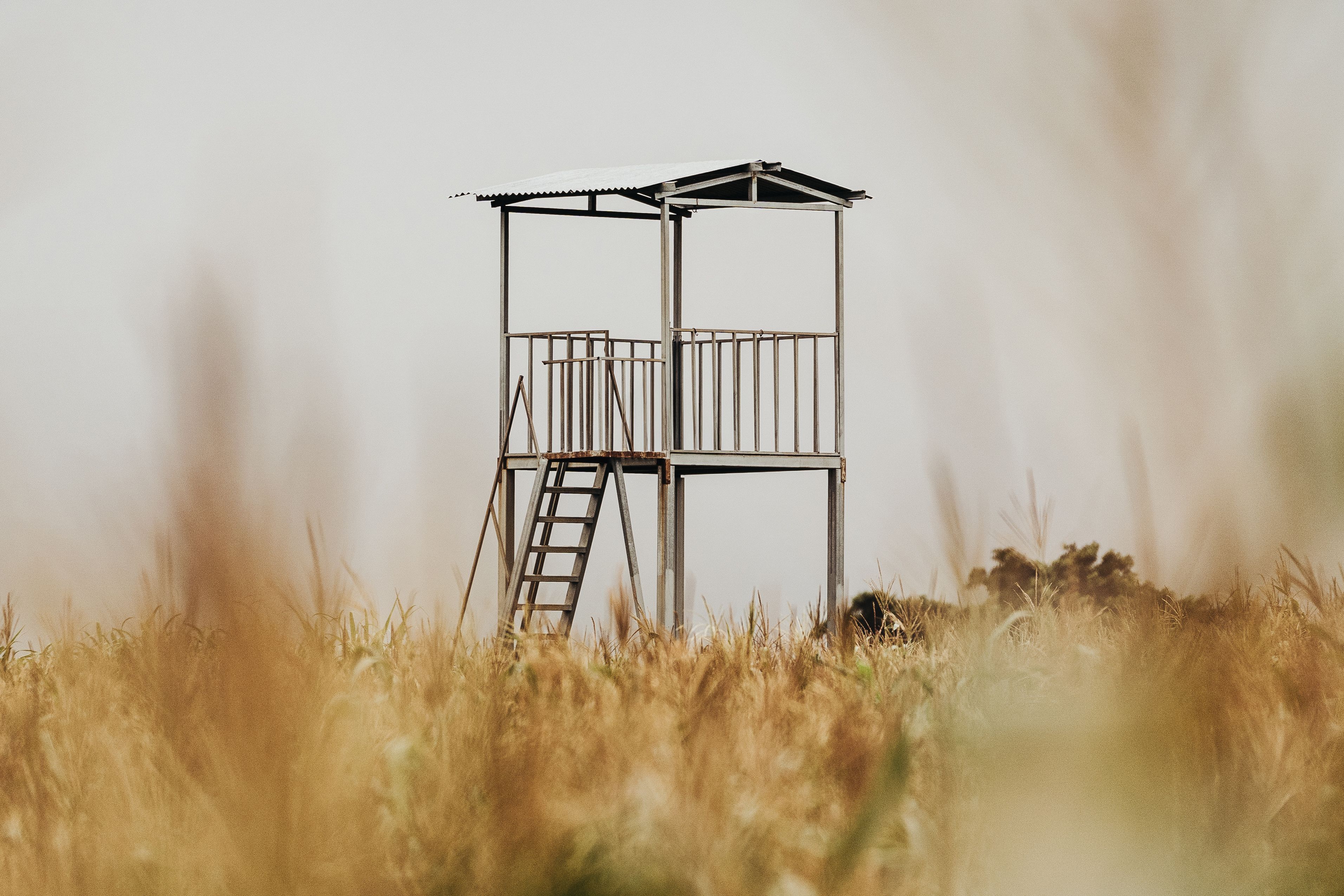 Estructura Agrícola Elevada En El Campo De El Salvador · Foto de stock ...