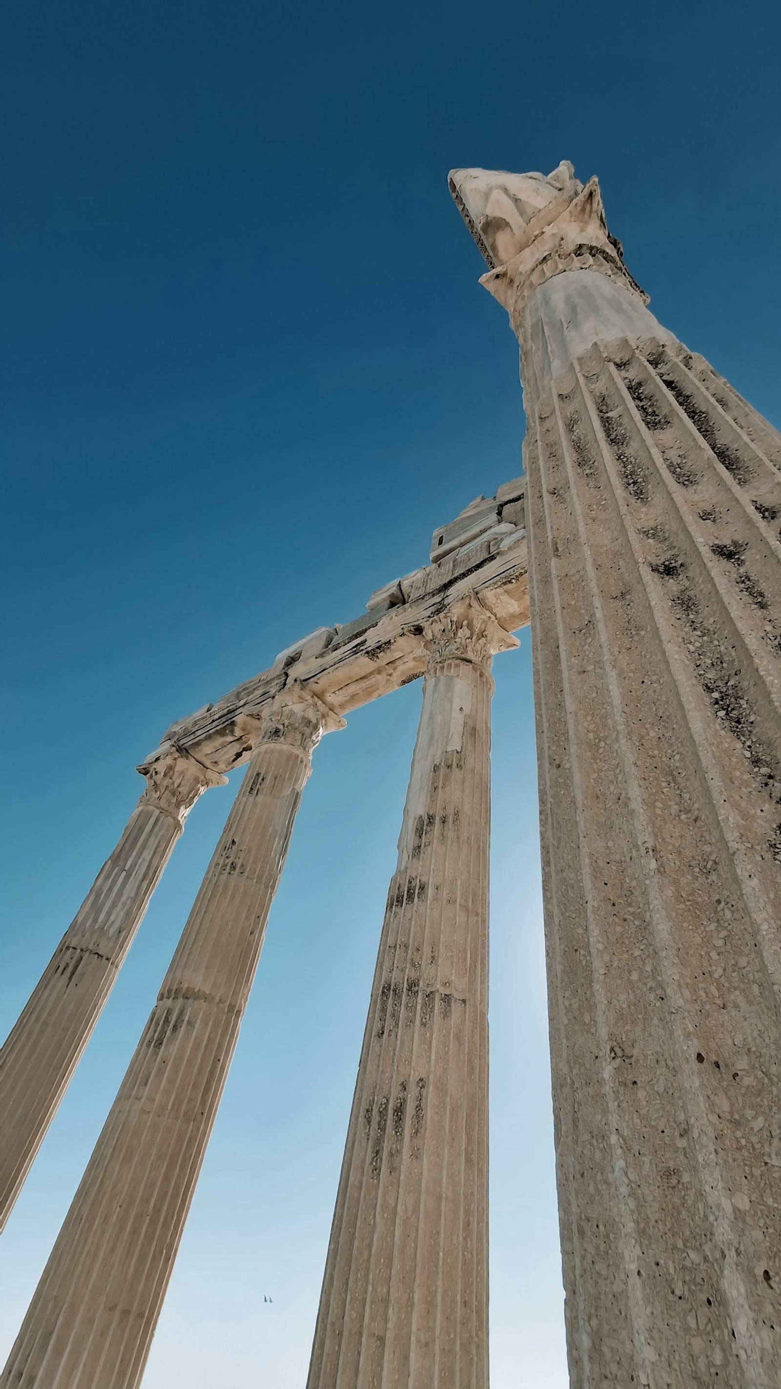 Side Photos, Download The BEST Free Side Stock Photos & HD Images