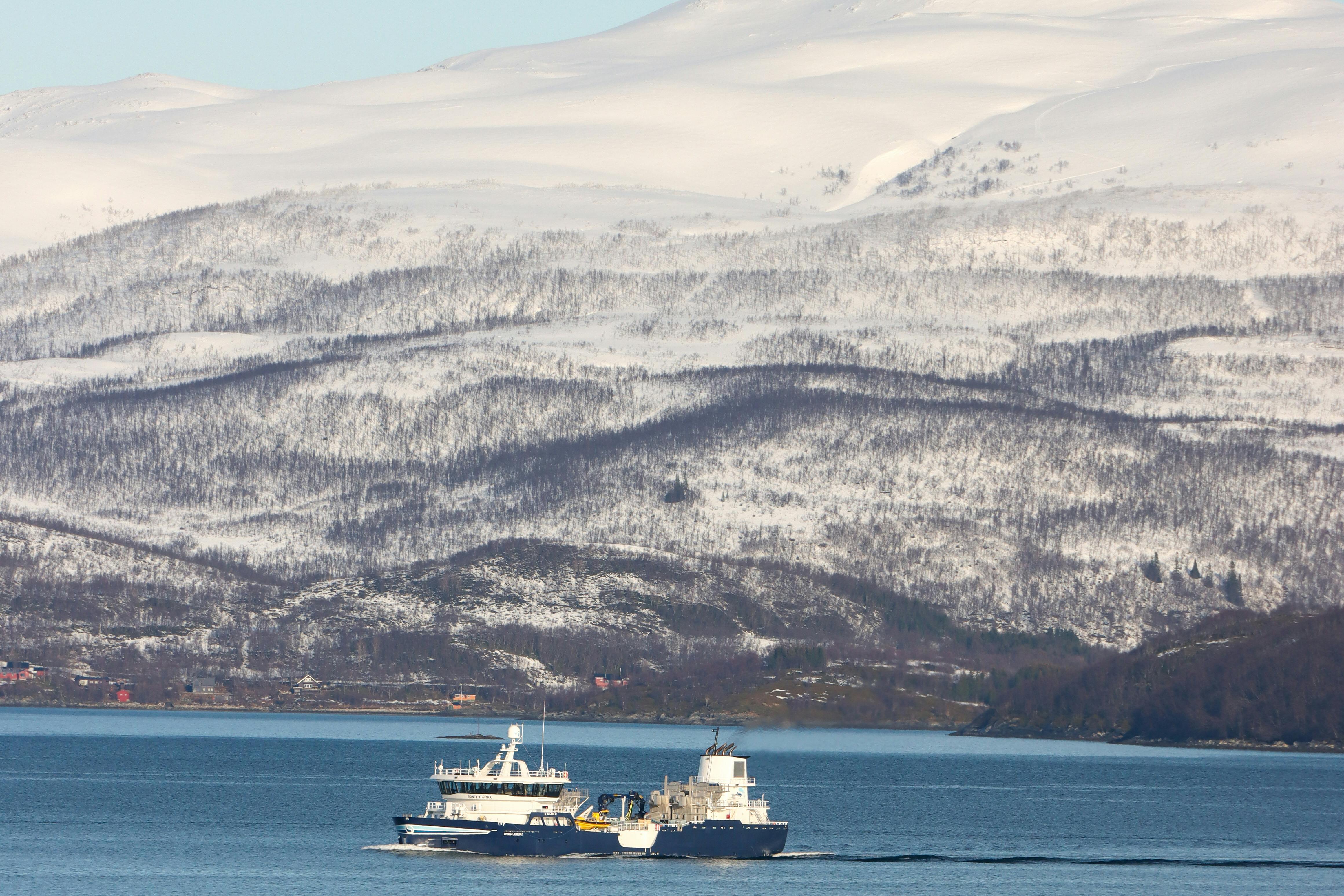 Gandhiji Dandi March Photos, Download The BEST Free Gandhiji Dandi ...