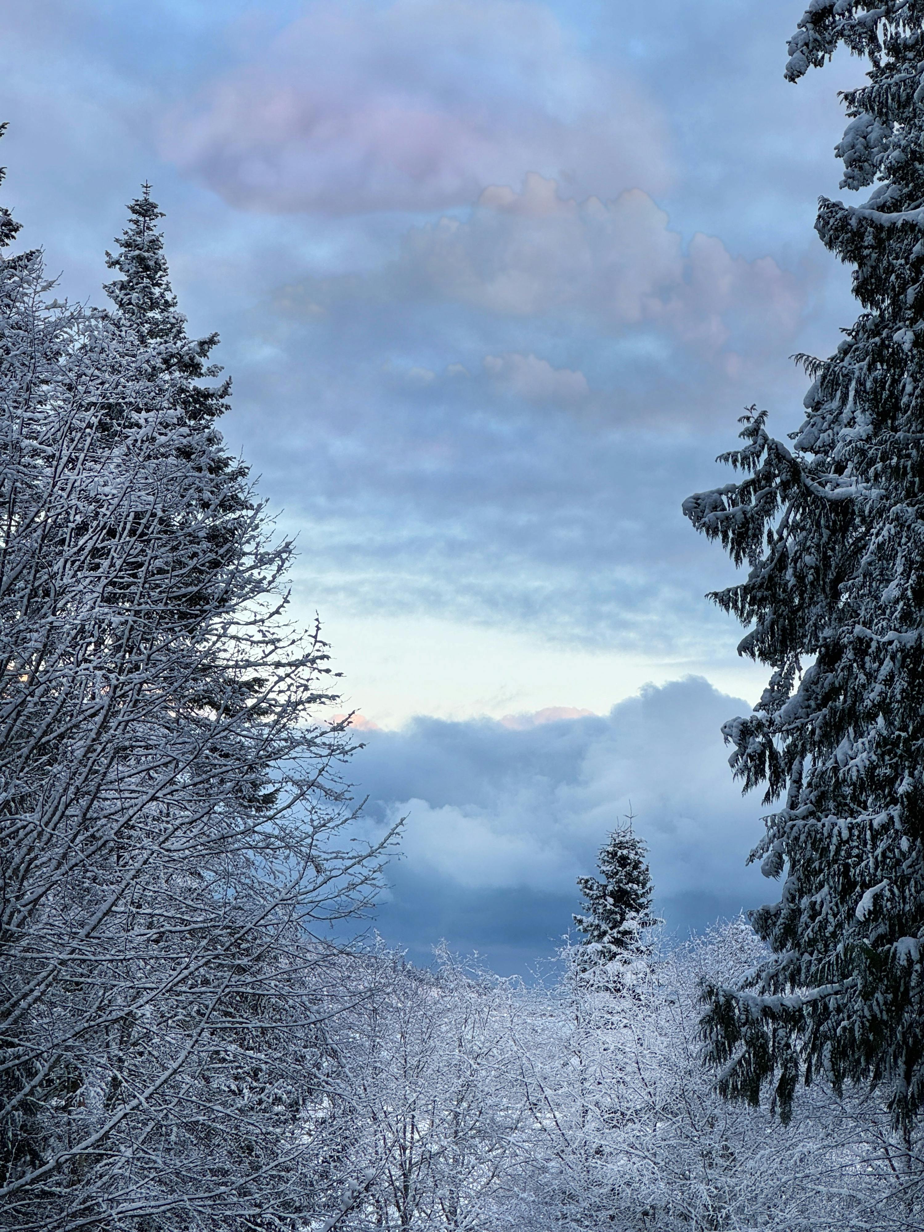 Cold Winter Morning Photos, Download The BEST Free Cold Winter Morning ...