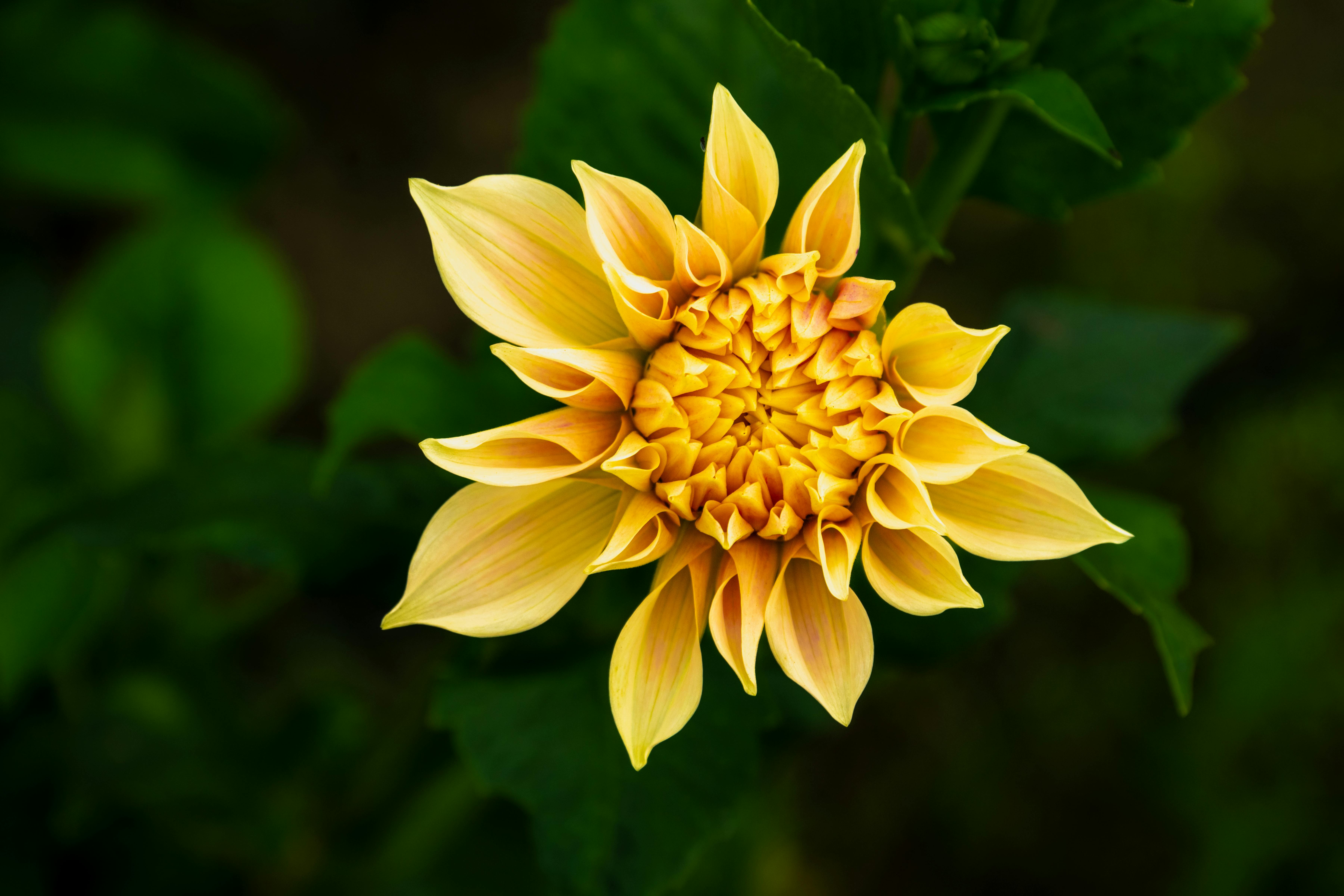 Kpmg+Wallpaper Photos, Download The BEST Free Kpmg+Wallpaper Stock ...