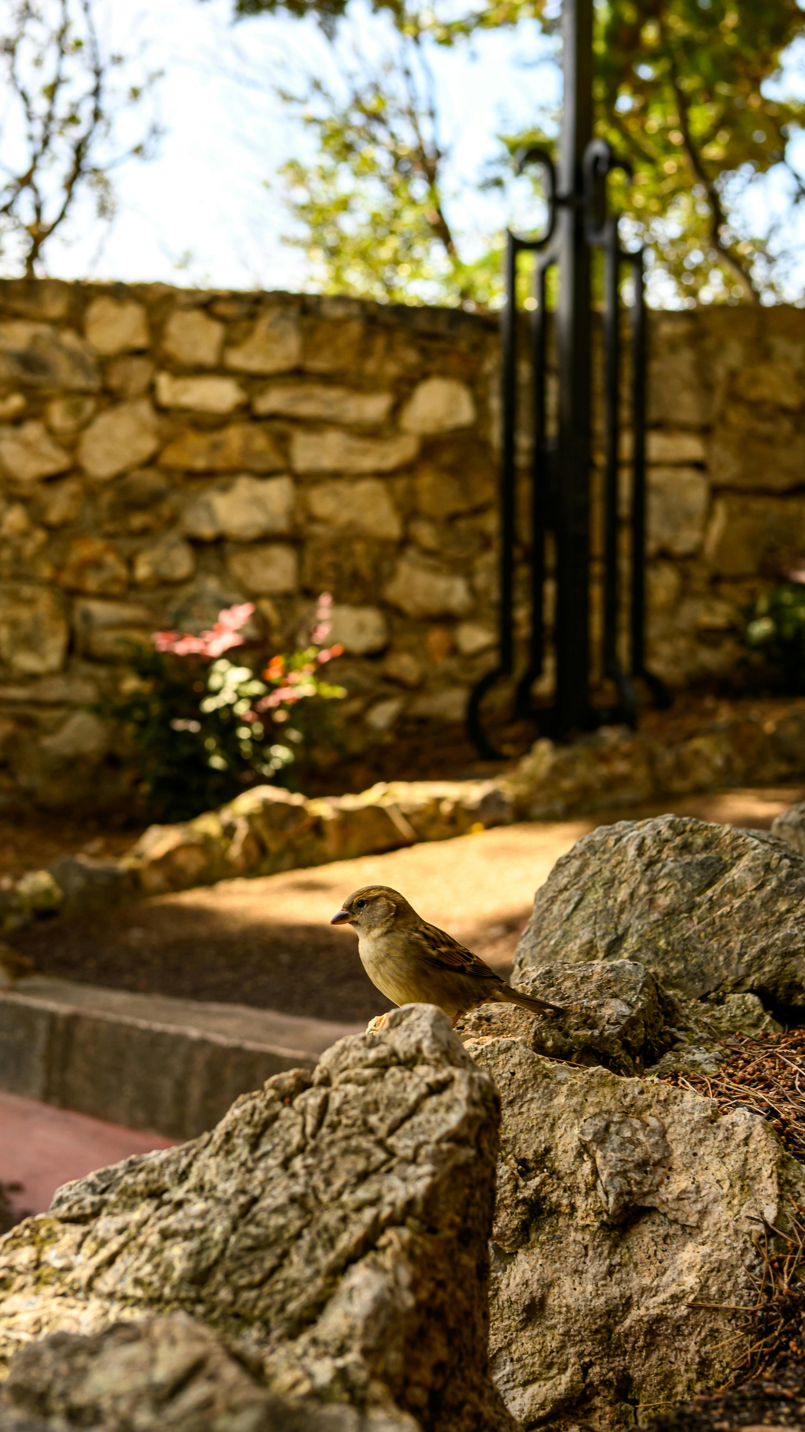 Flappy Bird Background Png Photos, Download The BEST Free Flappy Bird ...