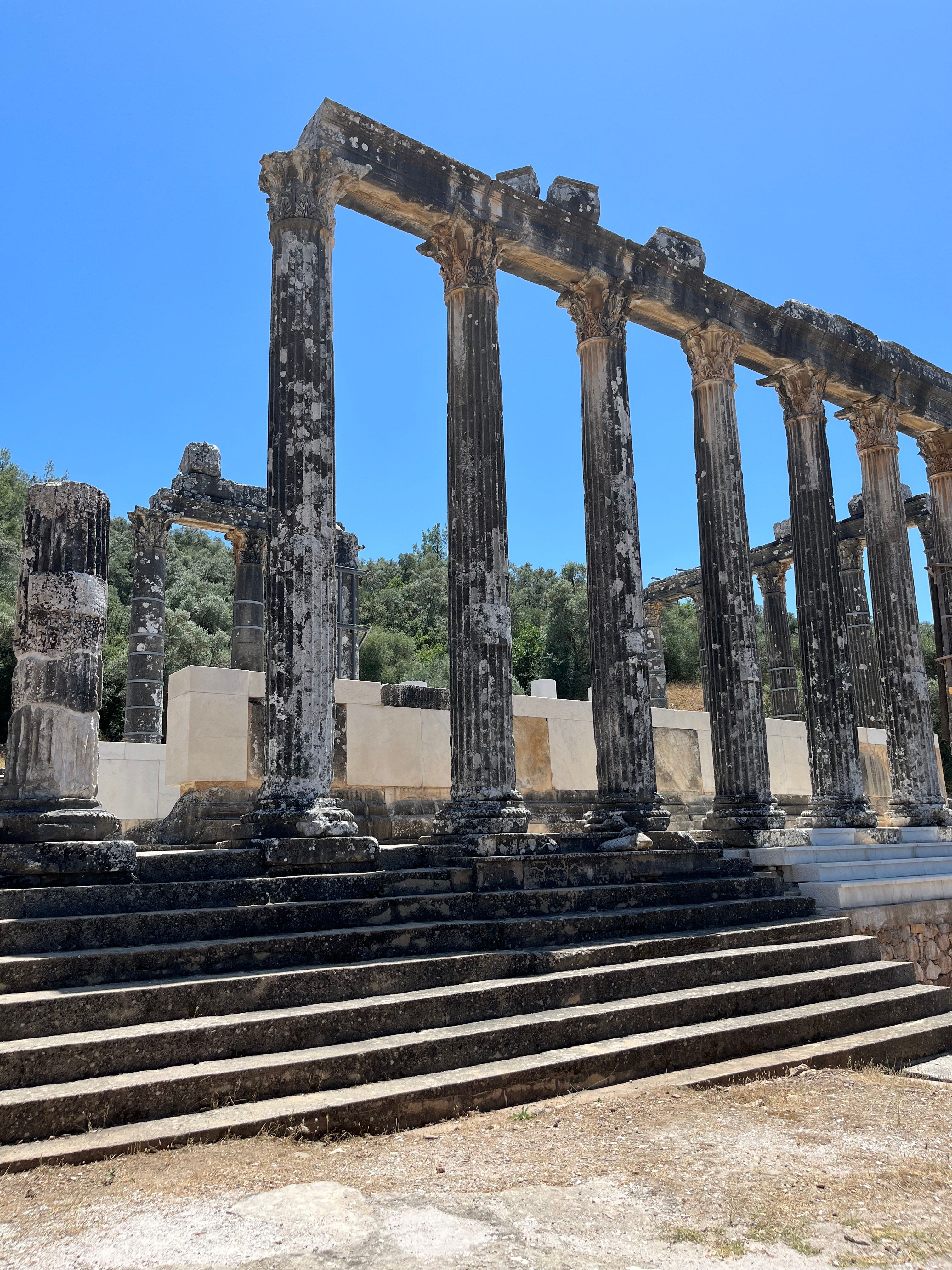 Ancient Ruin Columns in Muğla, Türkiye · Free Stock Photo