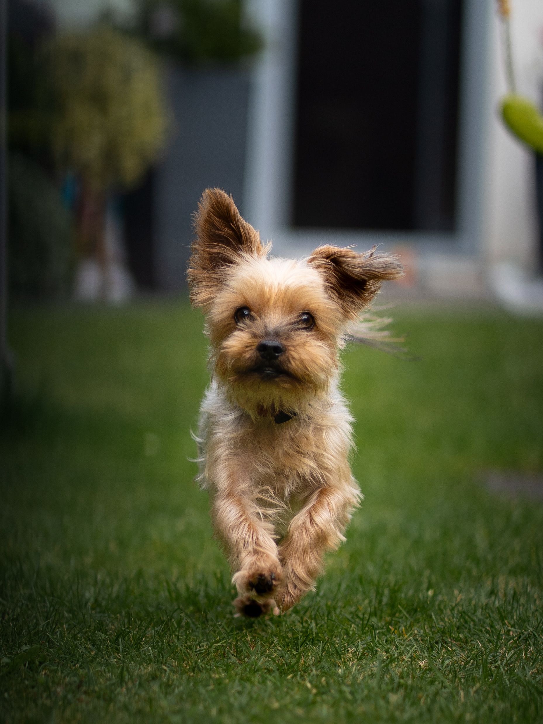 Fast Running Images Photos, Download The BEST Free Fast Running Images ...