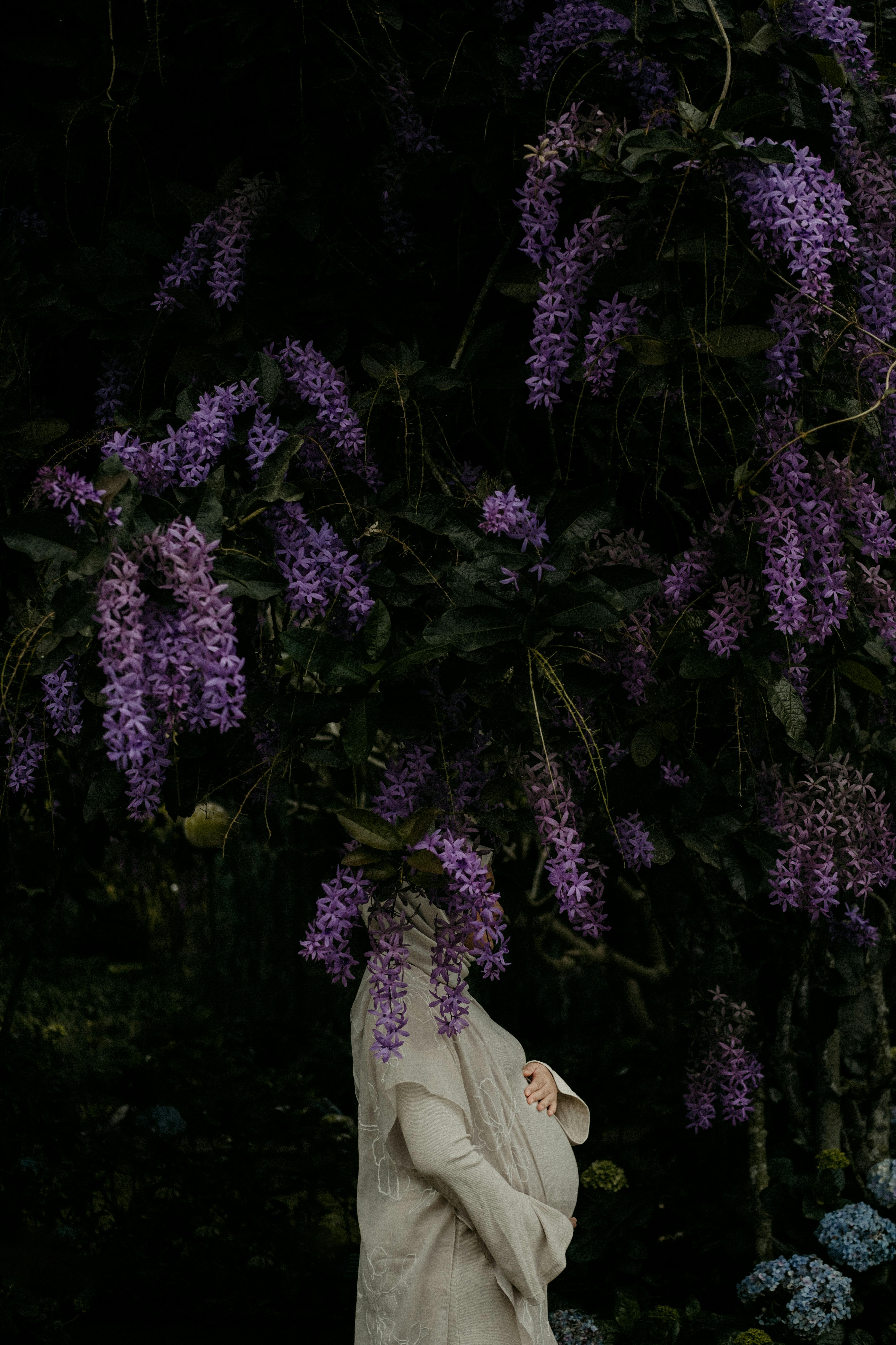 Kamal+Flower+Pics Photos, Download The BEST Free Kamal+Flower+Pics ...