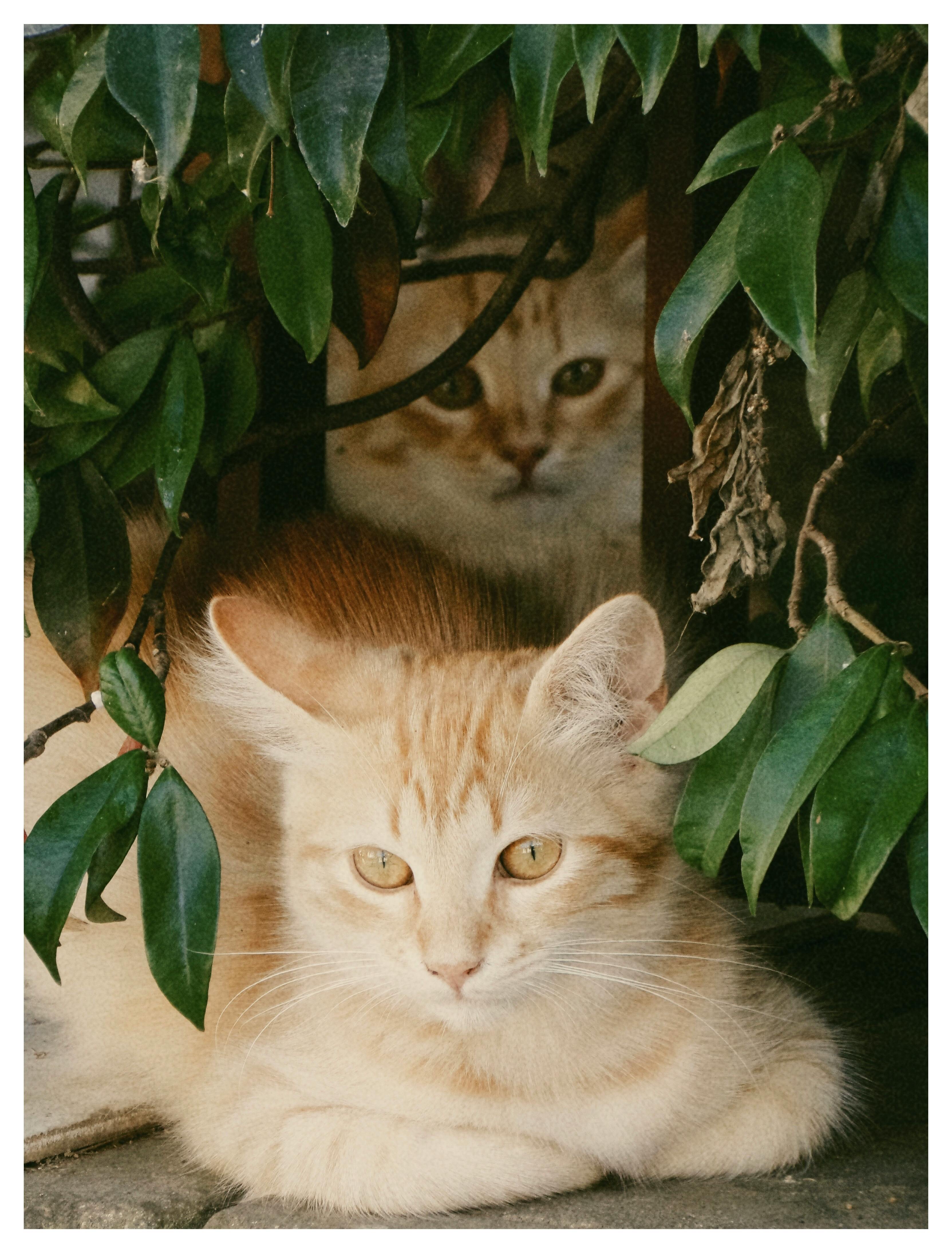 Anime+Goon+Wallpaper Photos, Download The BEST Free Anime+Goon ...