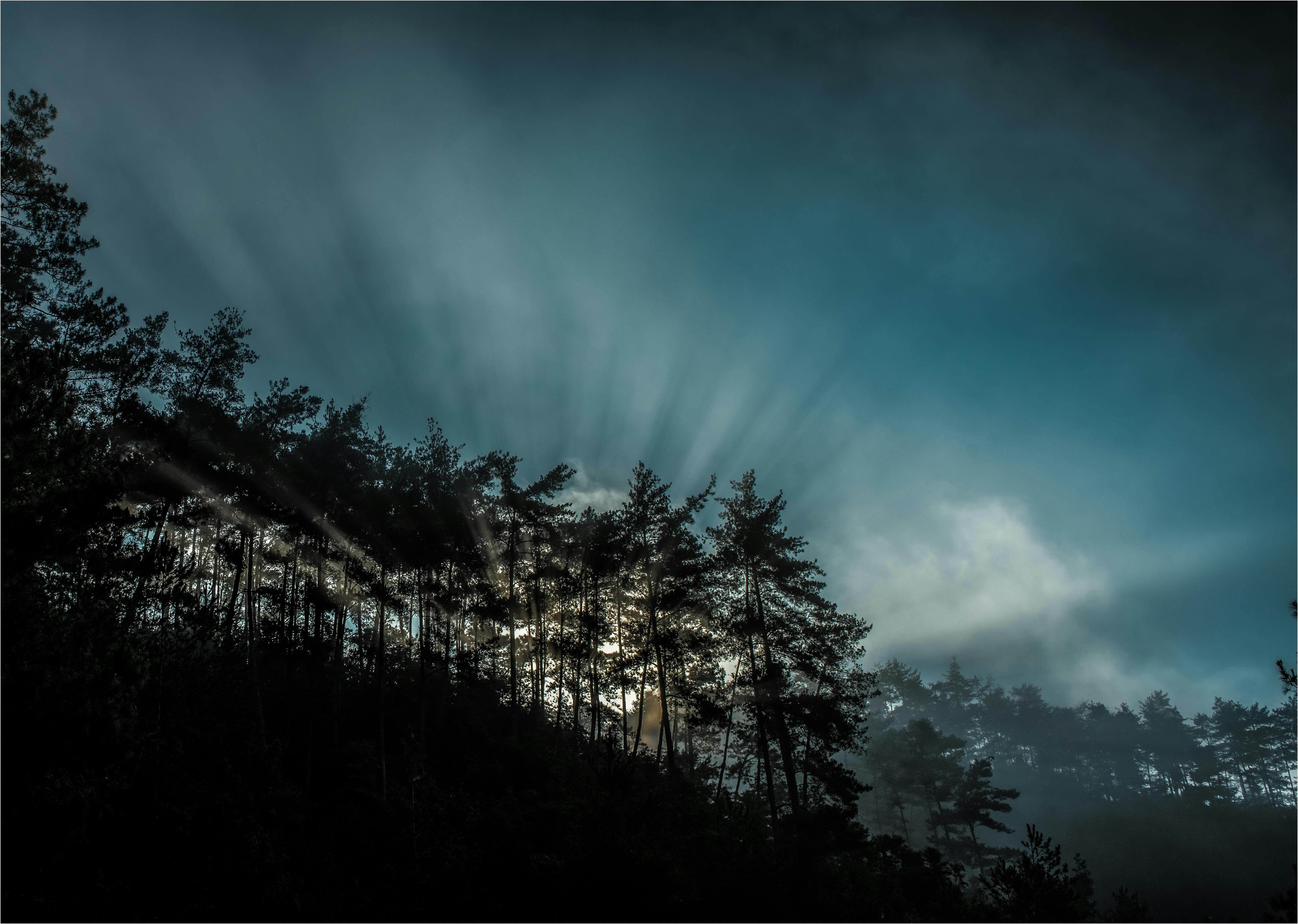 Raycast+Wallpapers Photos, Download The BEST Free Raycast+Wallpapers ...