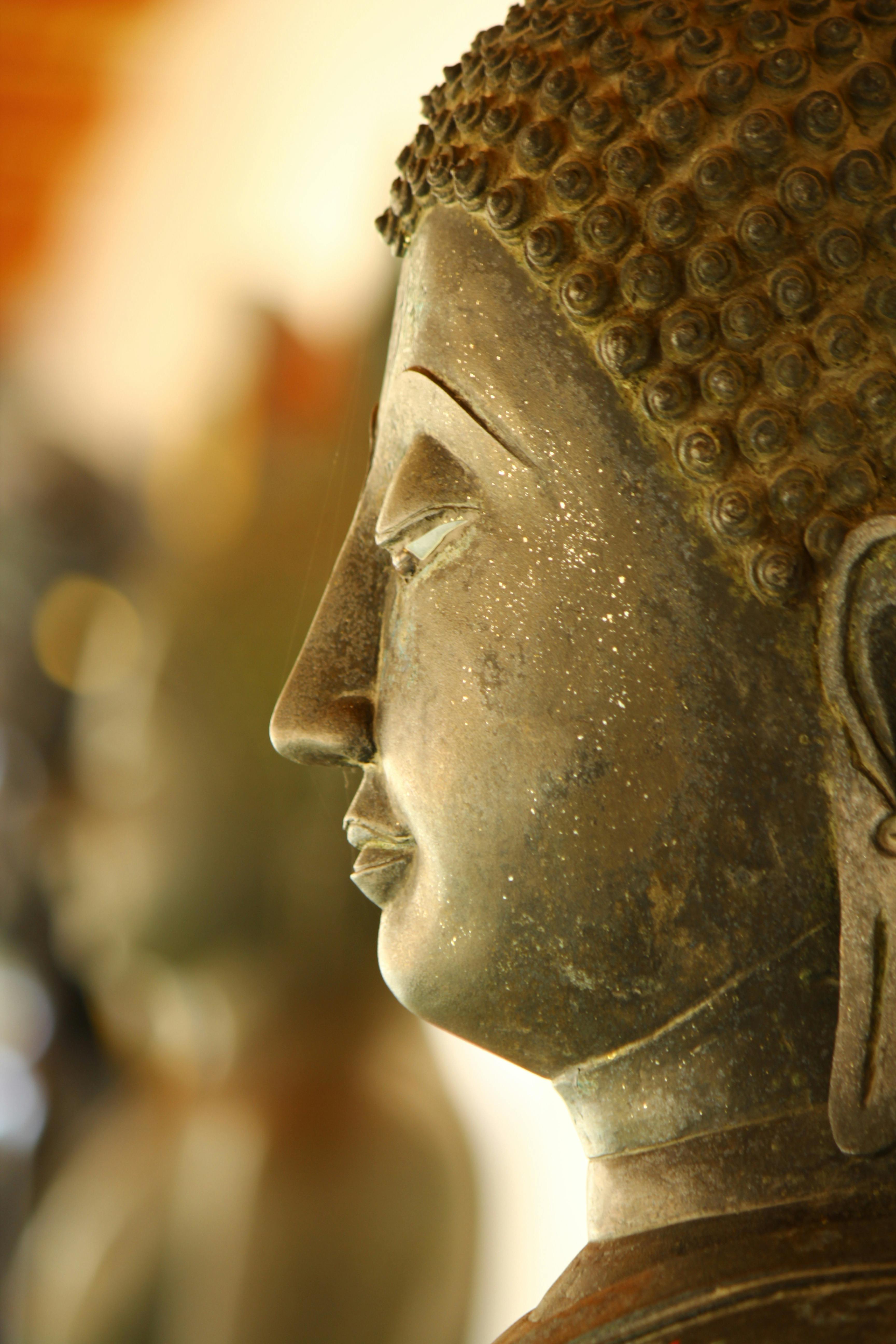 Avatars For Profile Photos, Download The BEST Free Avatars For Profile ...