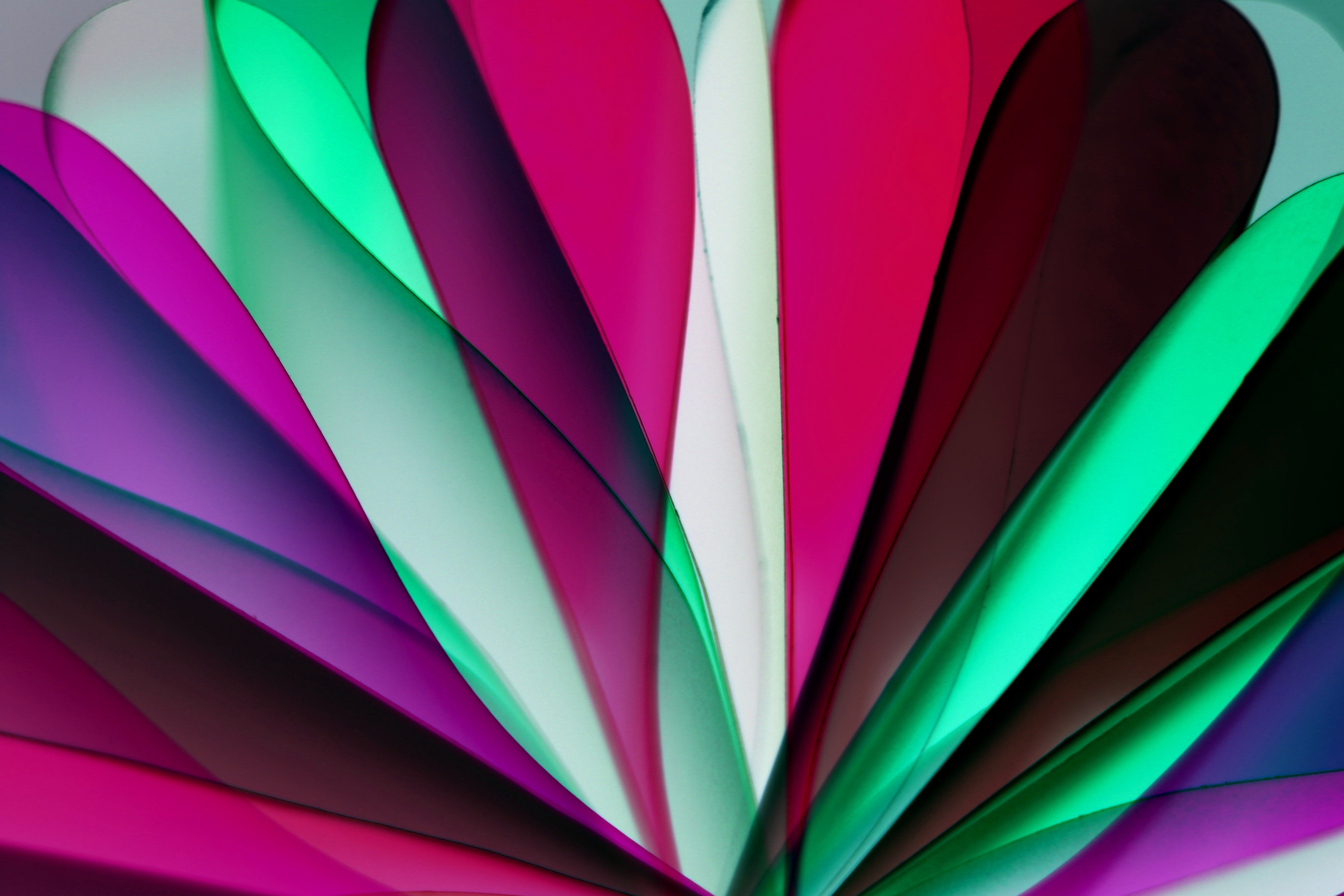 Aesthetic Background For Portfolio Photos, Download The BEST Free ...