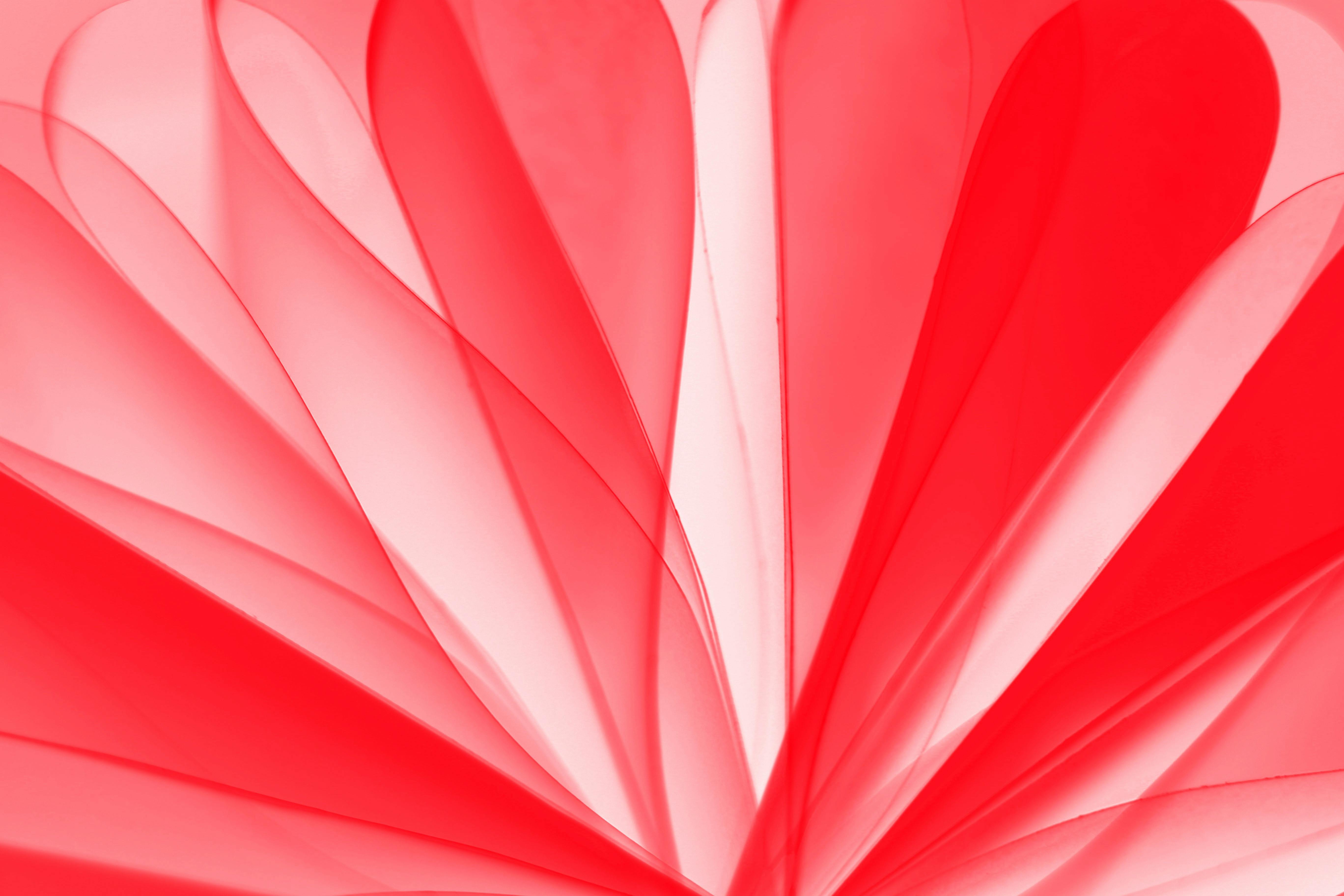 Powerpoint Background Photos, Download The BEST Free Powerpoint ...