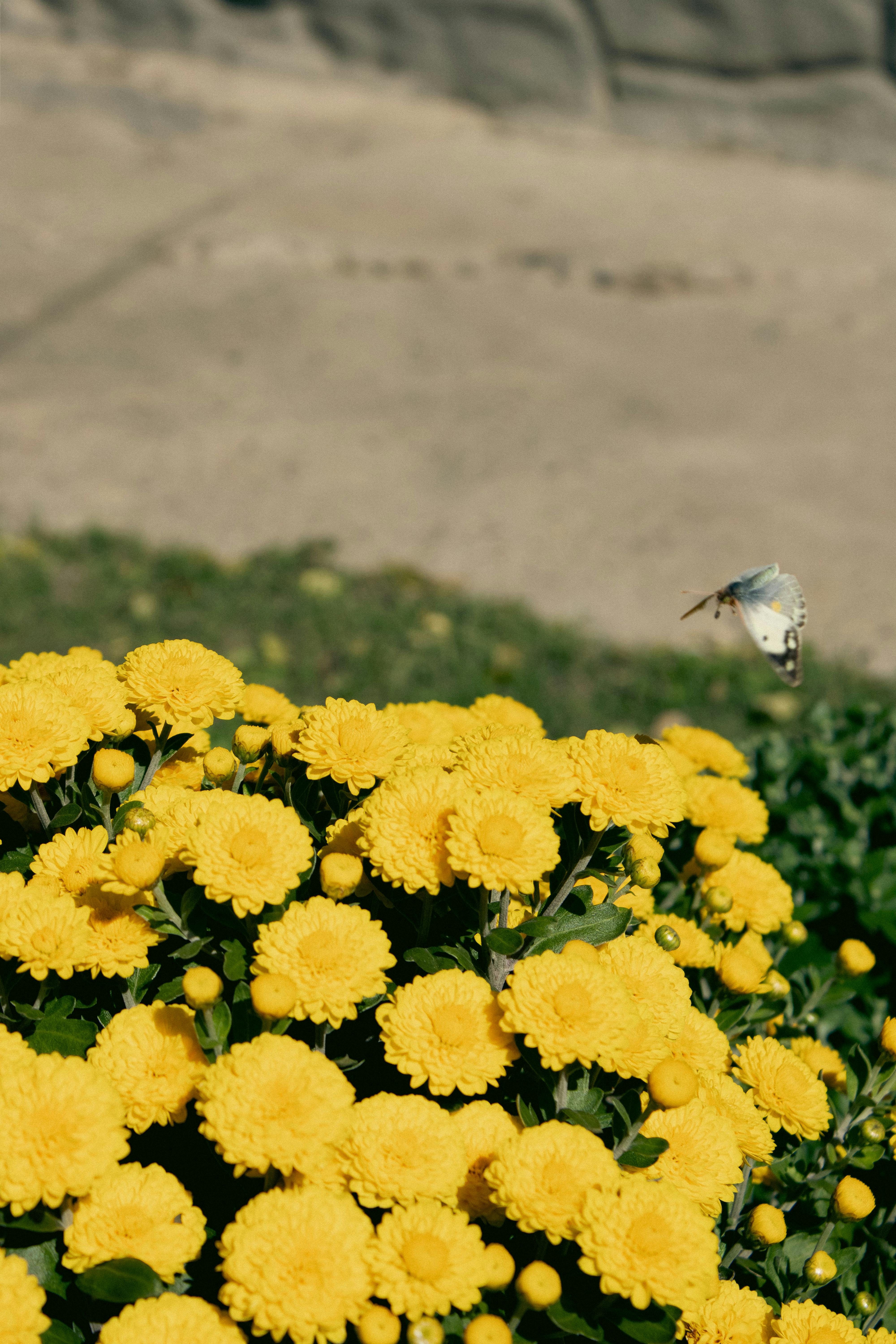 Netflix Background Photos, Download The BEST Free Netflix Background ...