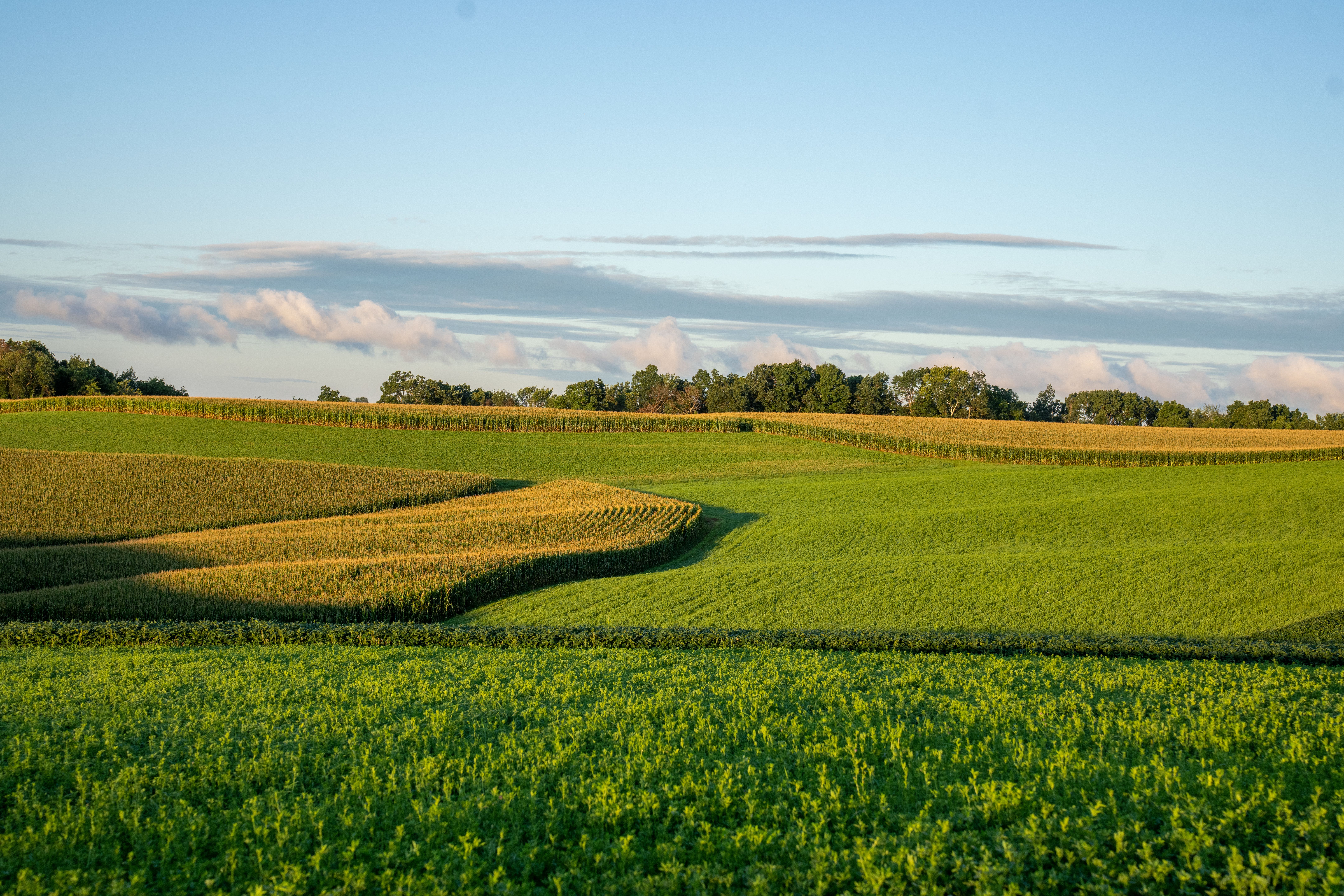 Country Landscapes Photos, Download The BEST Free Country Landscapes ...