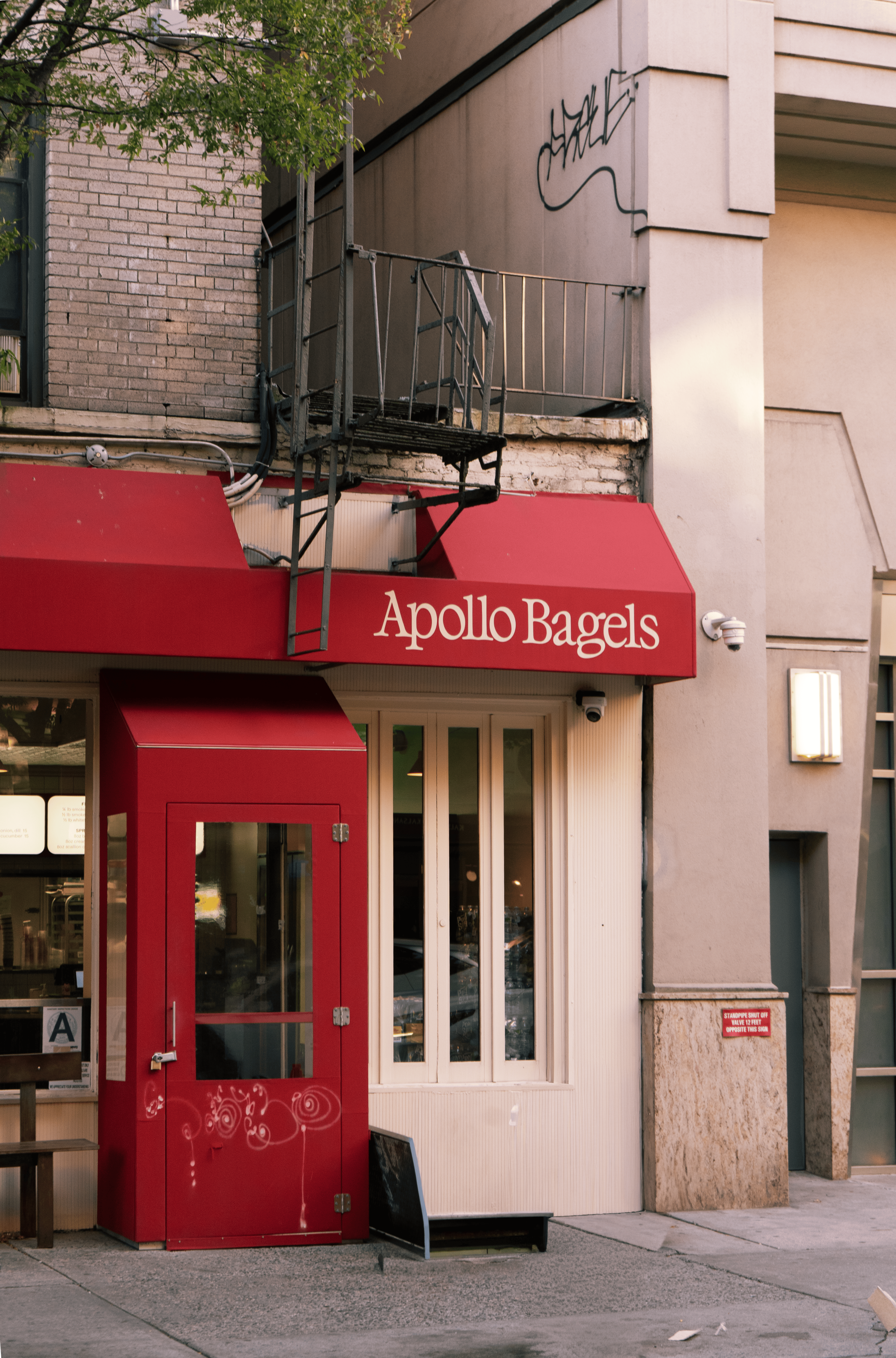 Angry Restaurant Photos, Download The BEST Free Angry Restaurant Stock ...