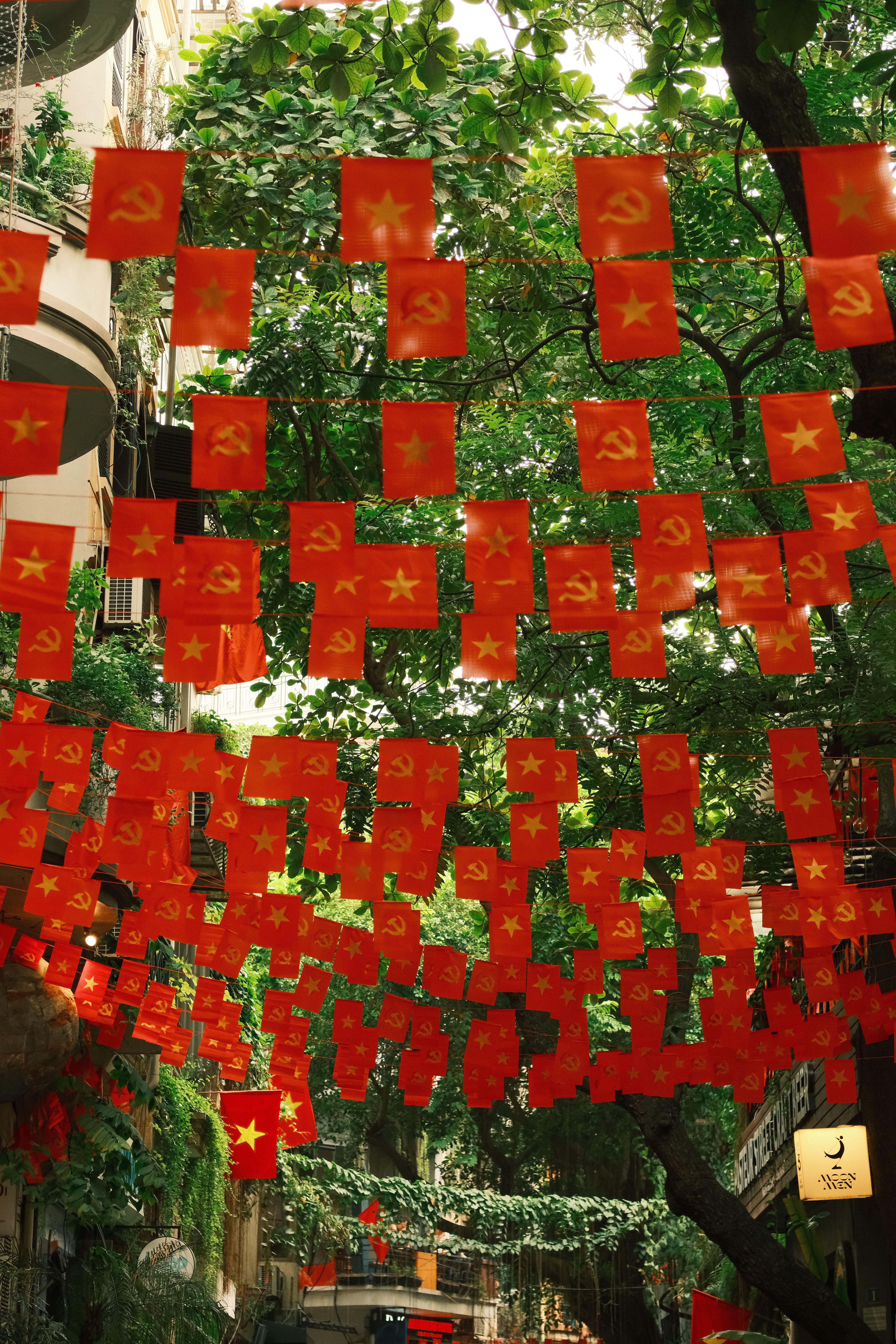 Vibrant Red Flags in a Lush Urban Setting · Free Stock Photo