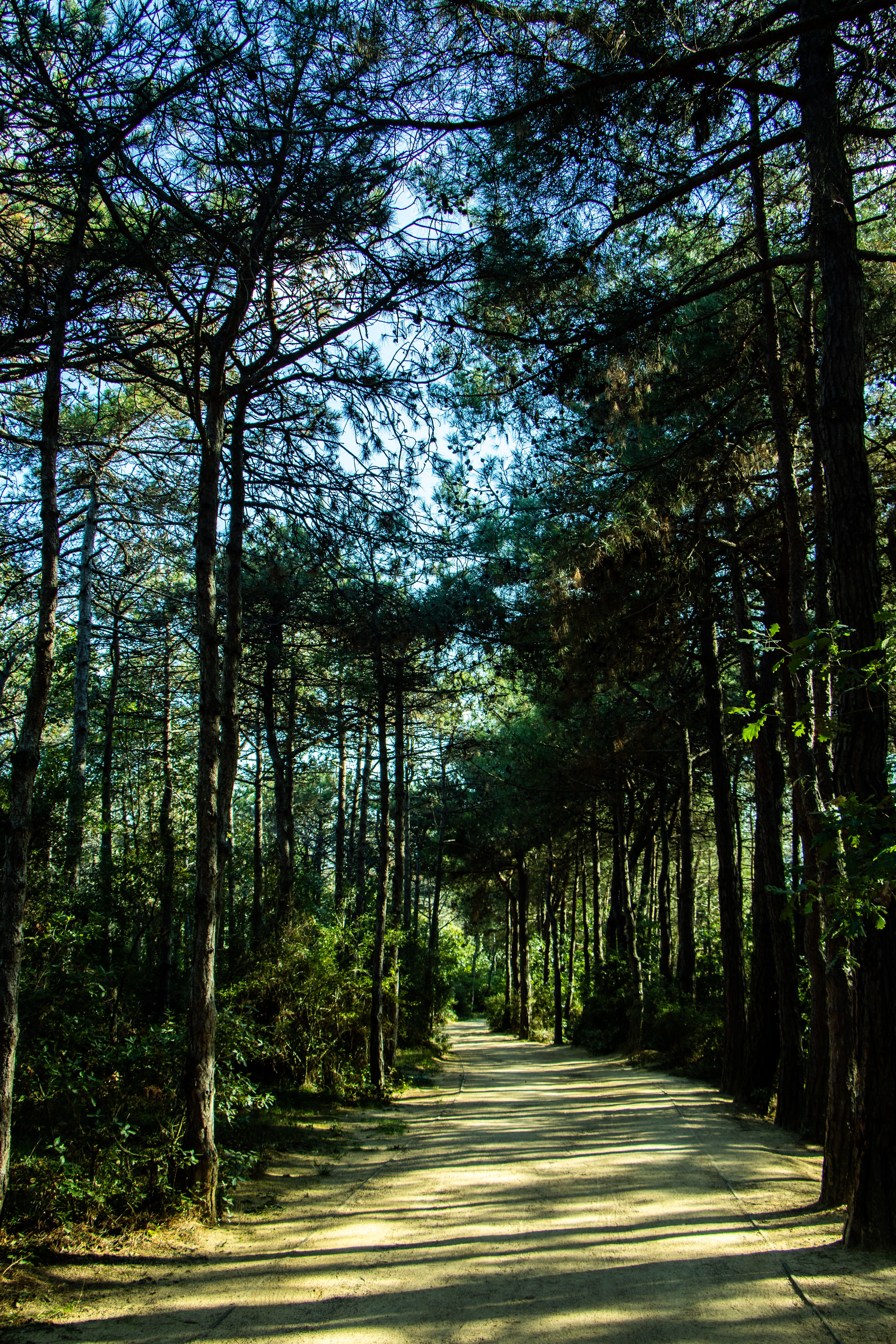 Roadmap Path Photos, Download The BEST Free Roadmap Path Stock Photos ...
