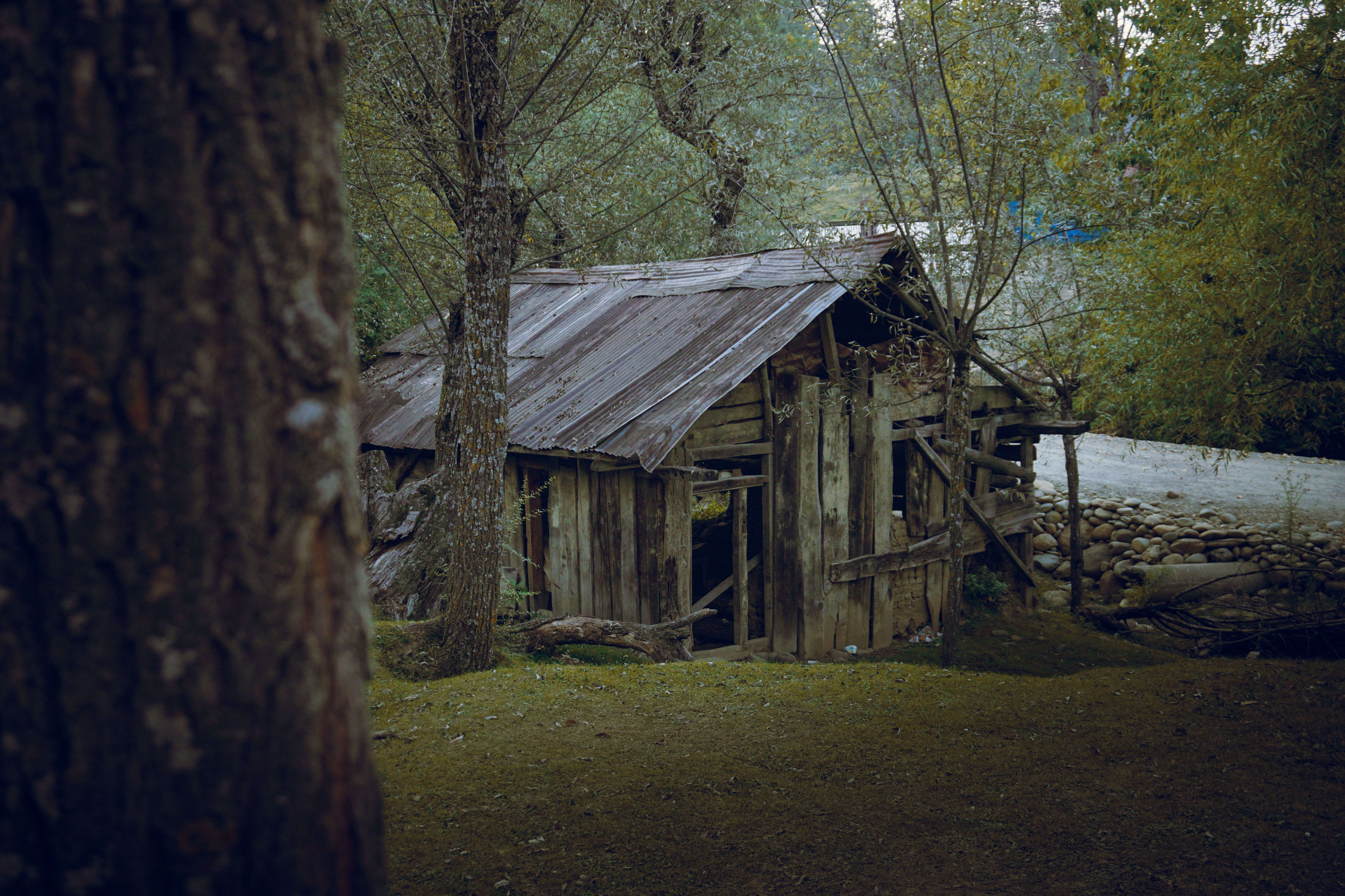 Abandoned Rustic Cabin in Autumn Forest · Free Stock Photo