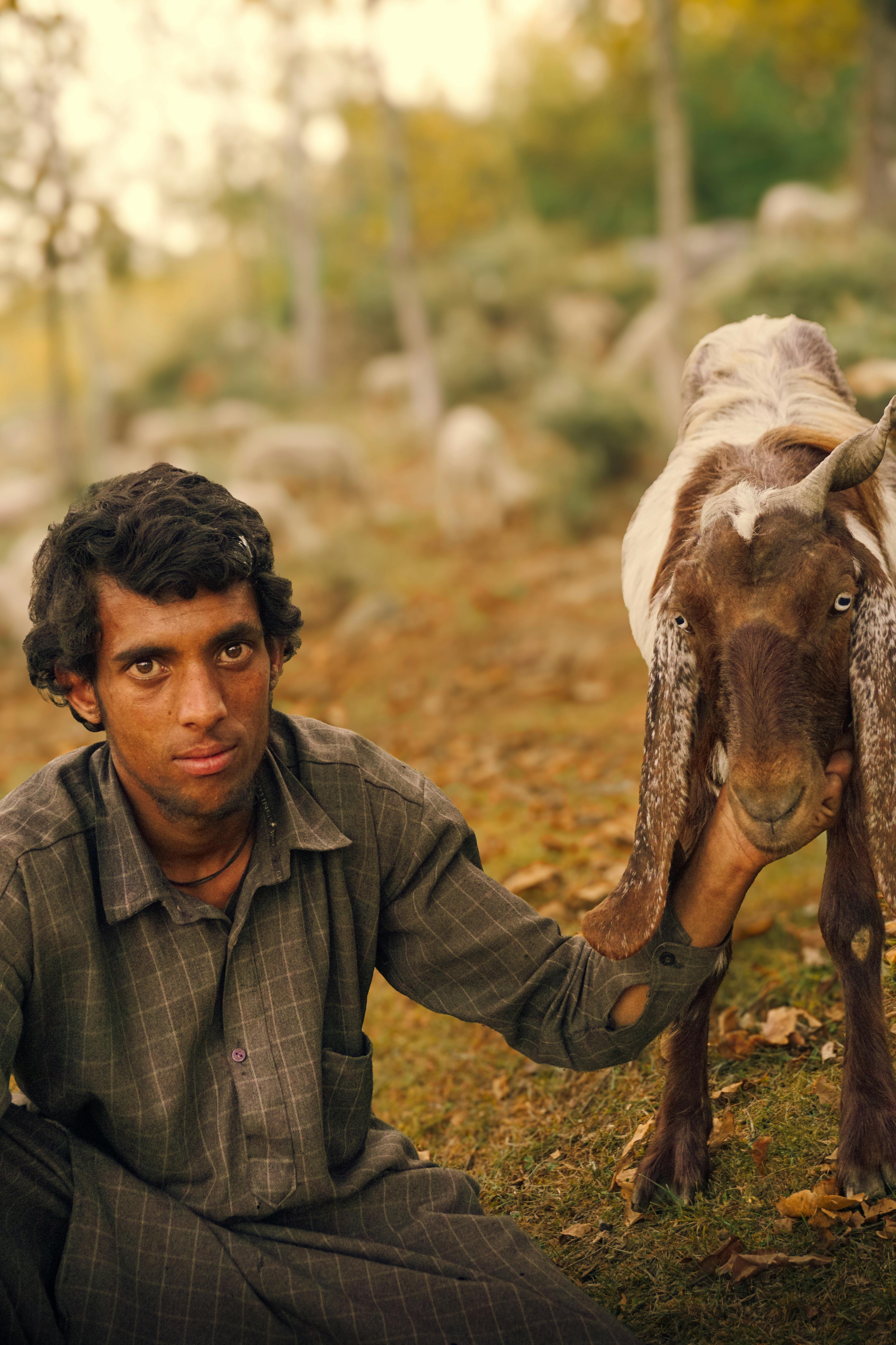 Background Without Watermark Photos, Download The BEST Free Background ...