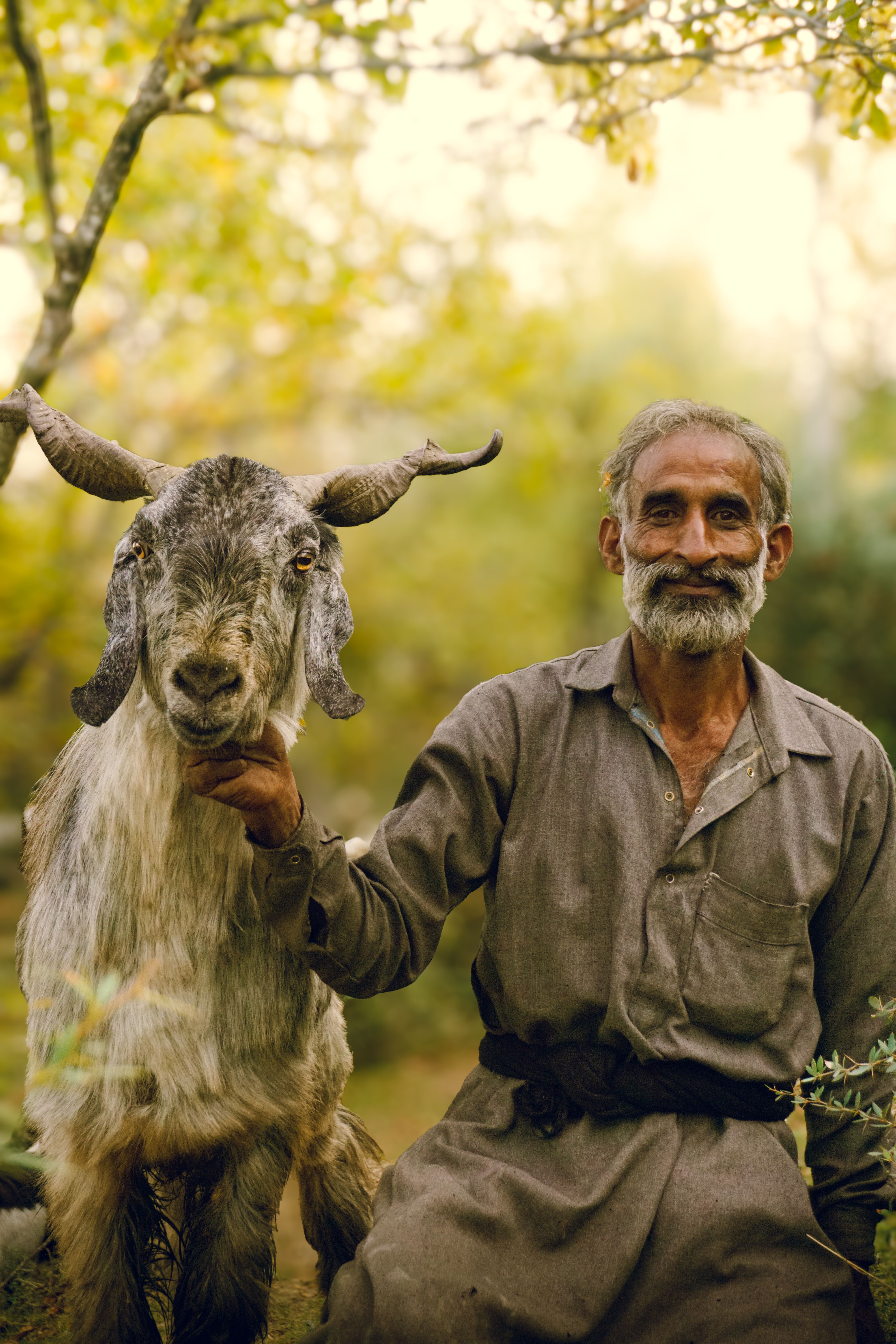 Man And Animal Photos, Download The BEST Free Man And Animal Stock ...