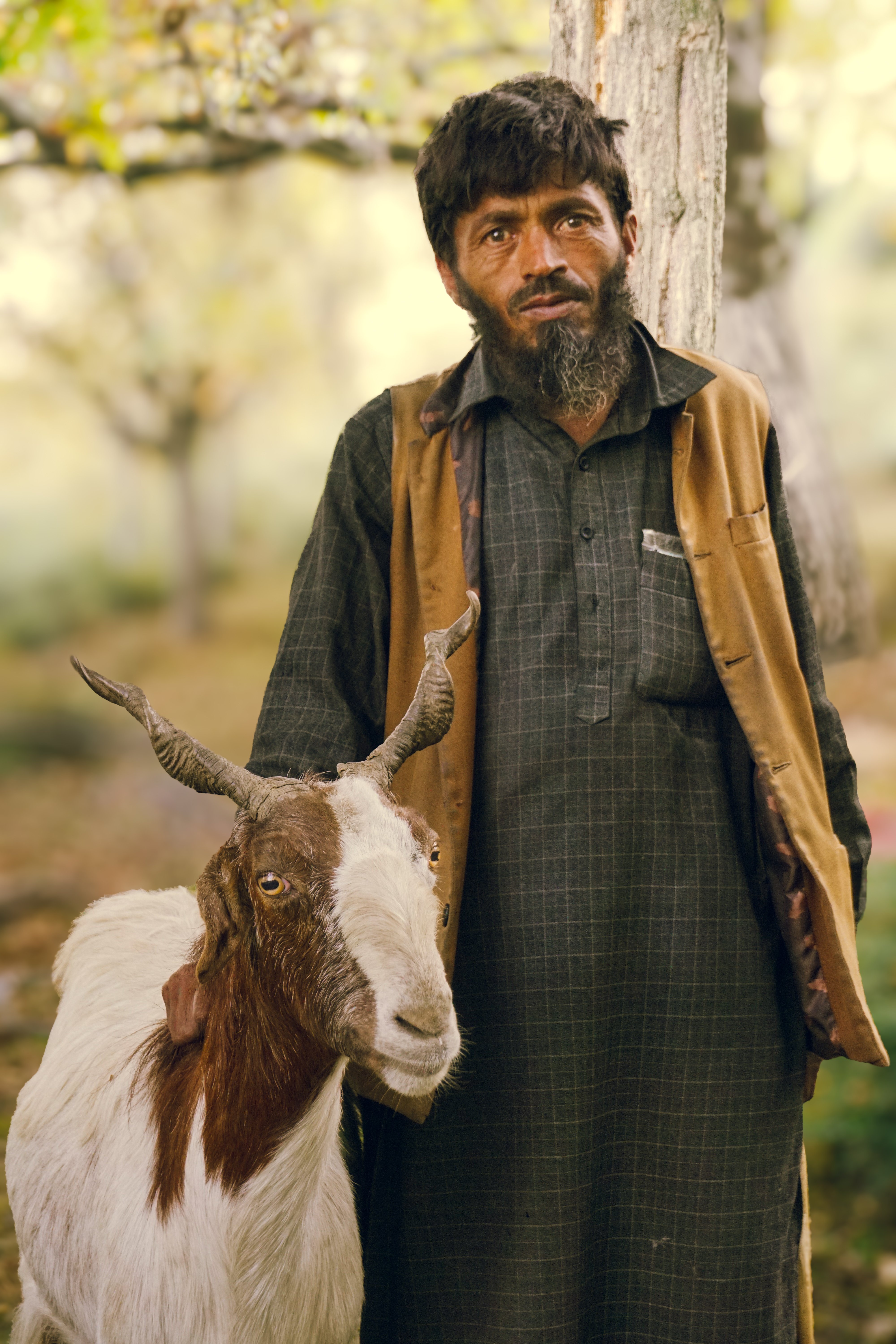 Man standing with goat in autumn forest · Free Stock Photo