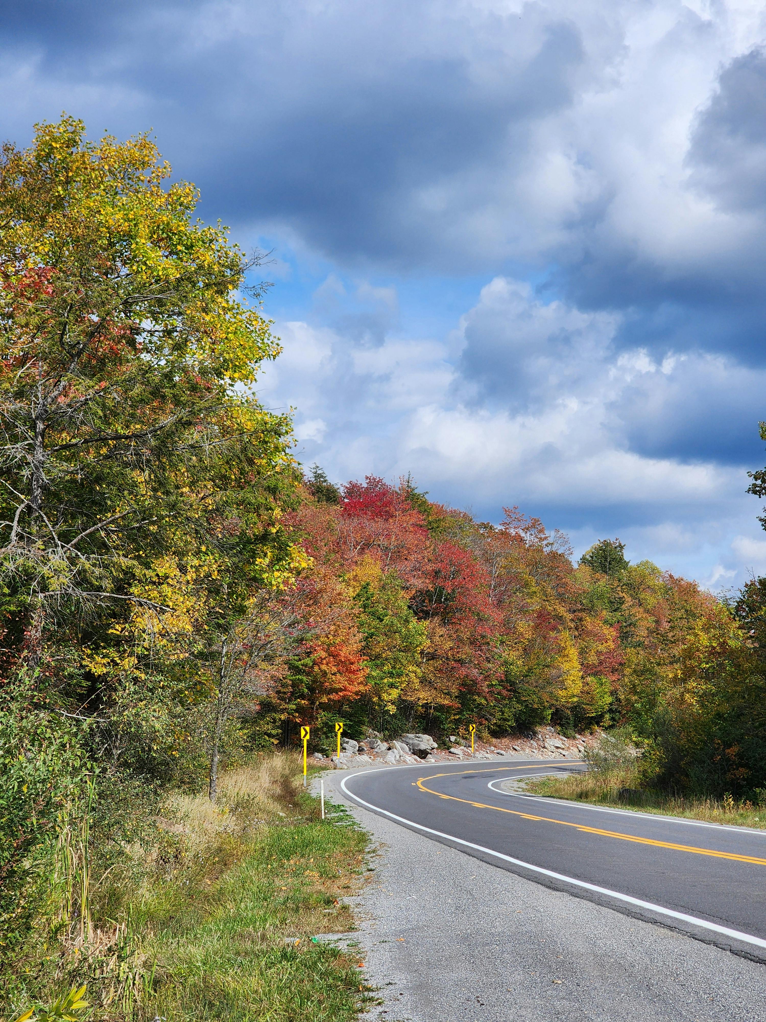 Early Fall Photos, Download The BEST Free Early Fall Stock Photos & HD ...