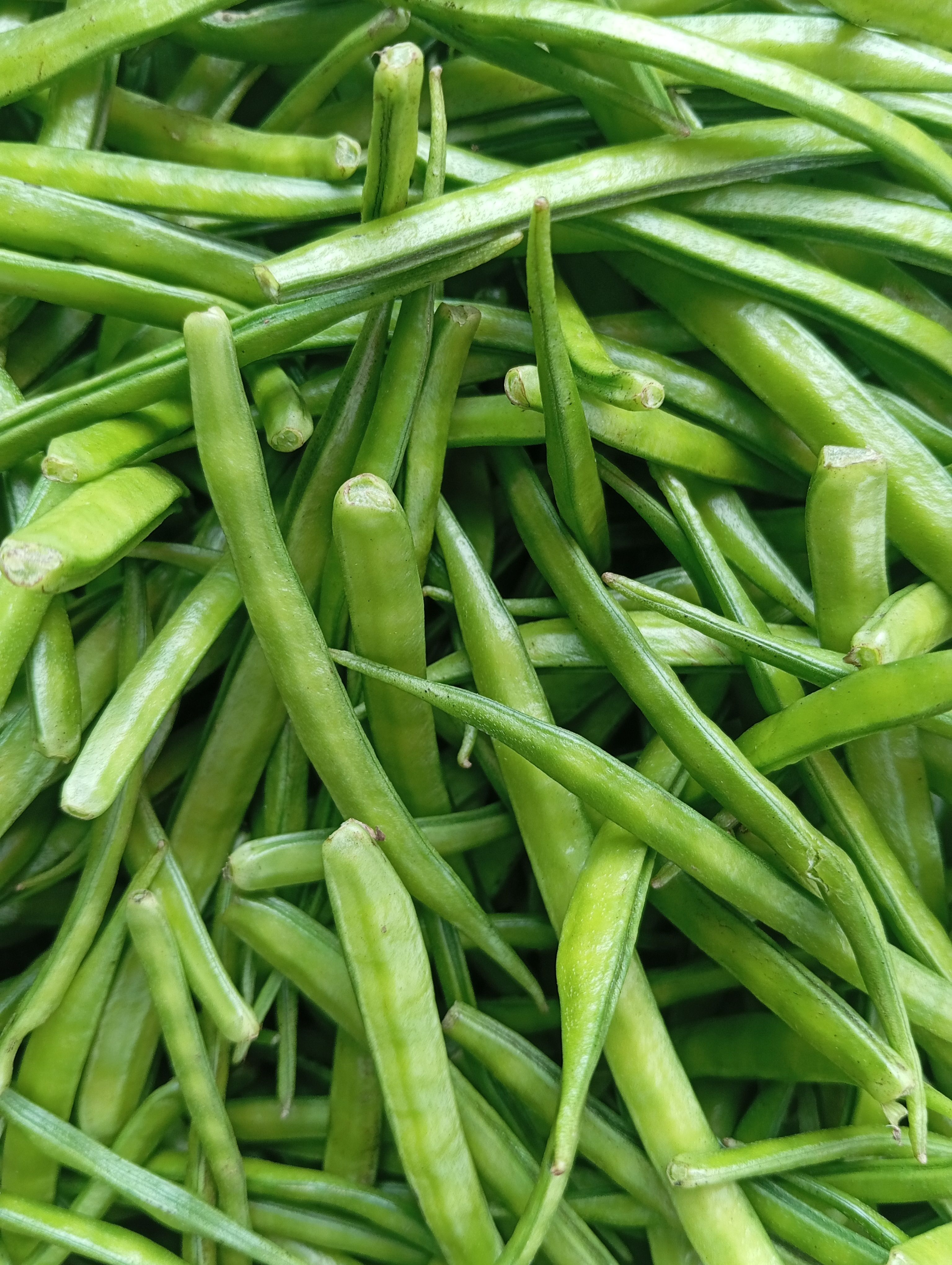 Close-up Photo of Raw Green Beans · Free Stock Photo