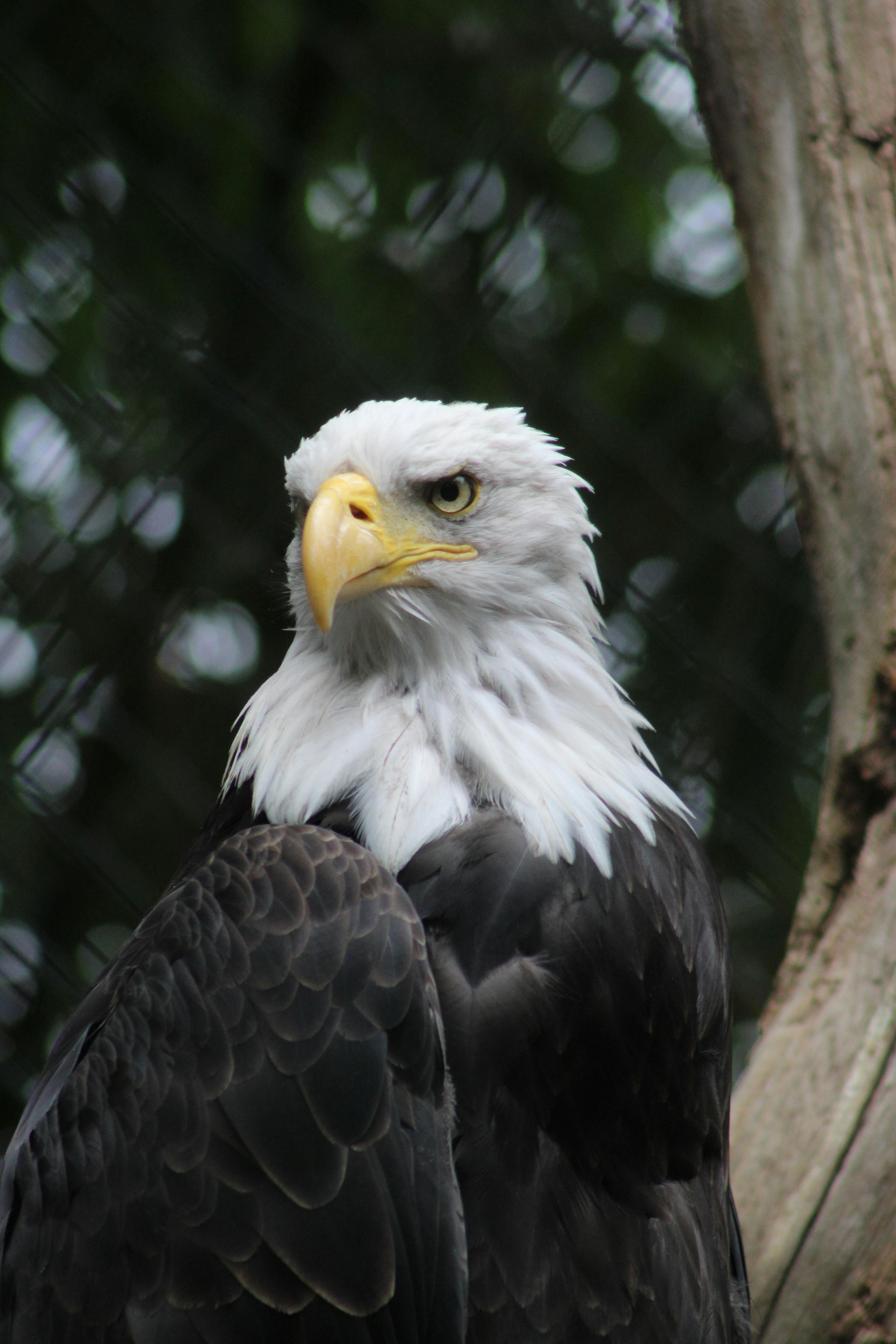 Anime+Goon+Wallpaper Photos, Download The BEST Free Anime+Goon ...