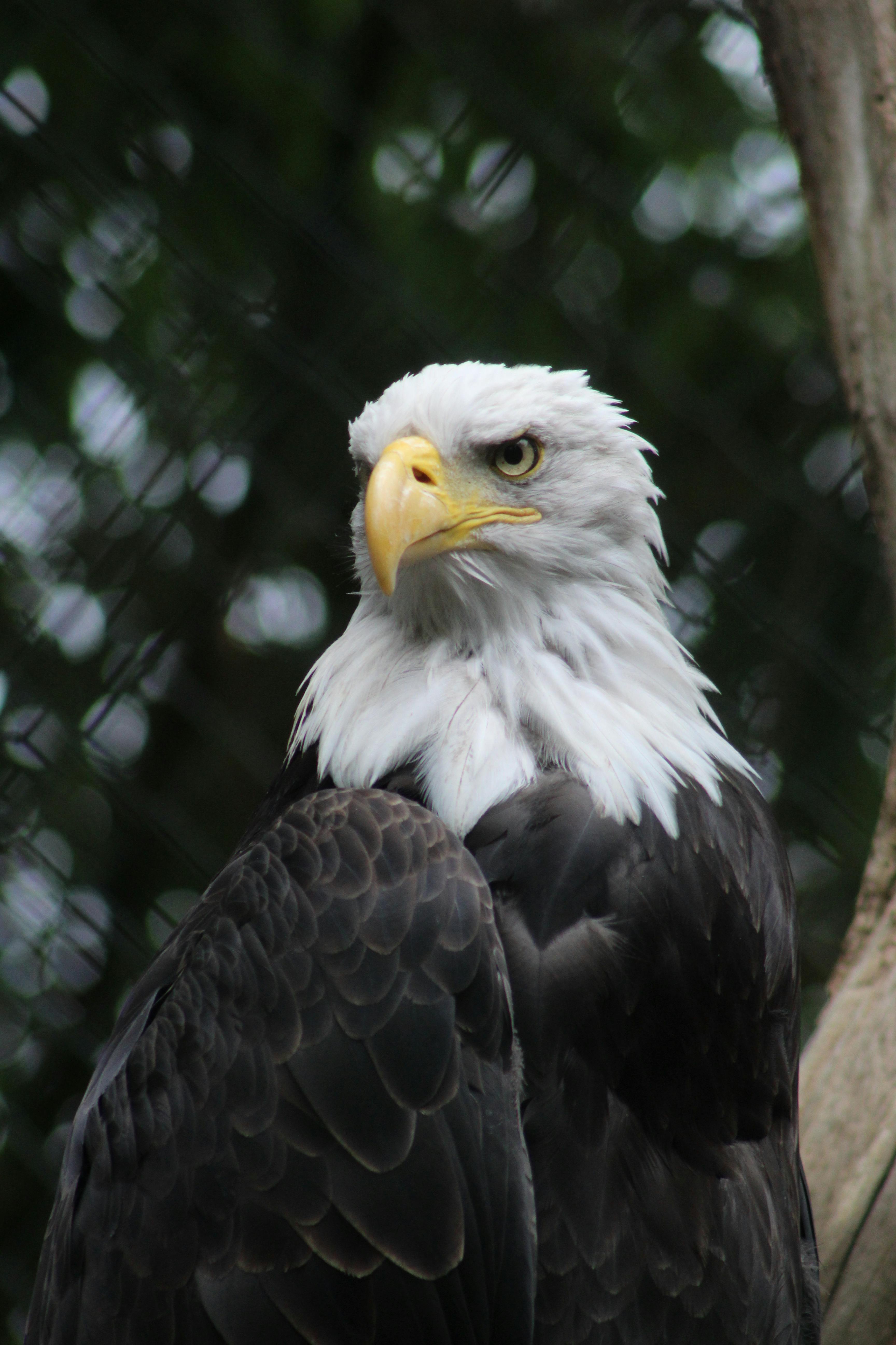 Anime+Goon+Wallpaper Photos, Download The BEST Free Anime+Goon ...