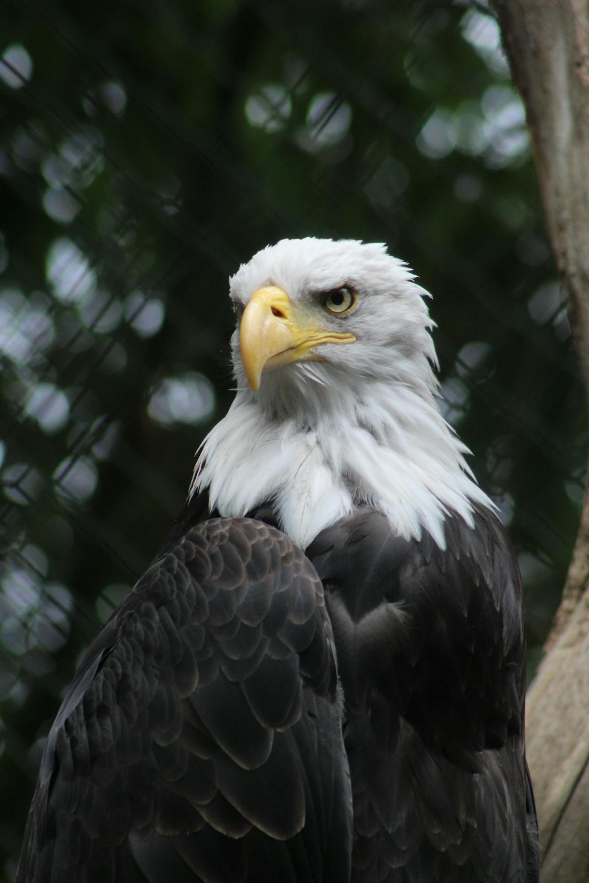 Anime+Goon+Wallpaper Photos, Download The BEST Free Anime+Goon ...