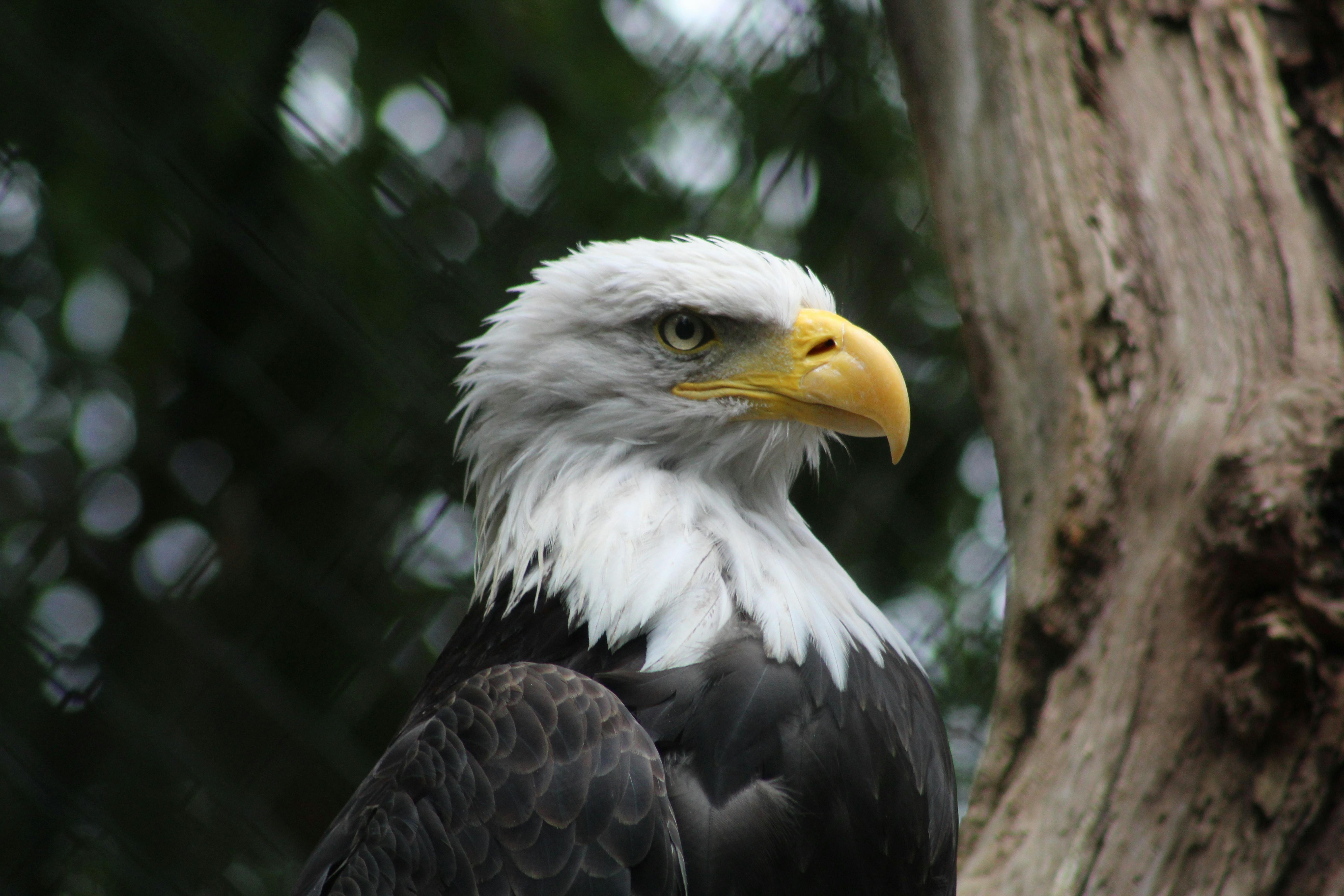 Anime+Goon+Wallpaper Photos, Download The BEST Free Anime+Goon ...