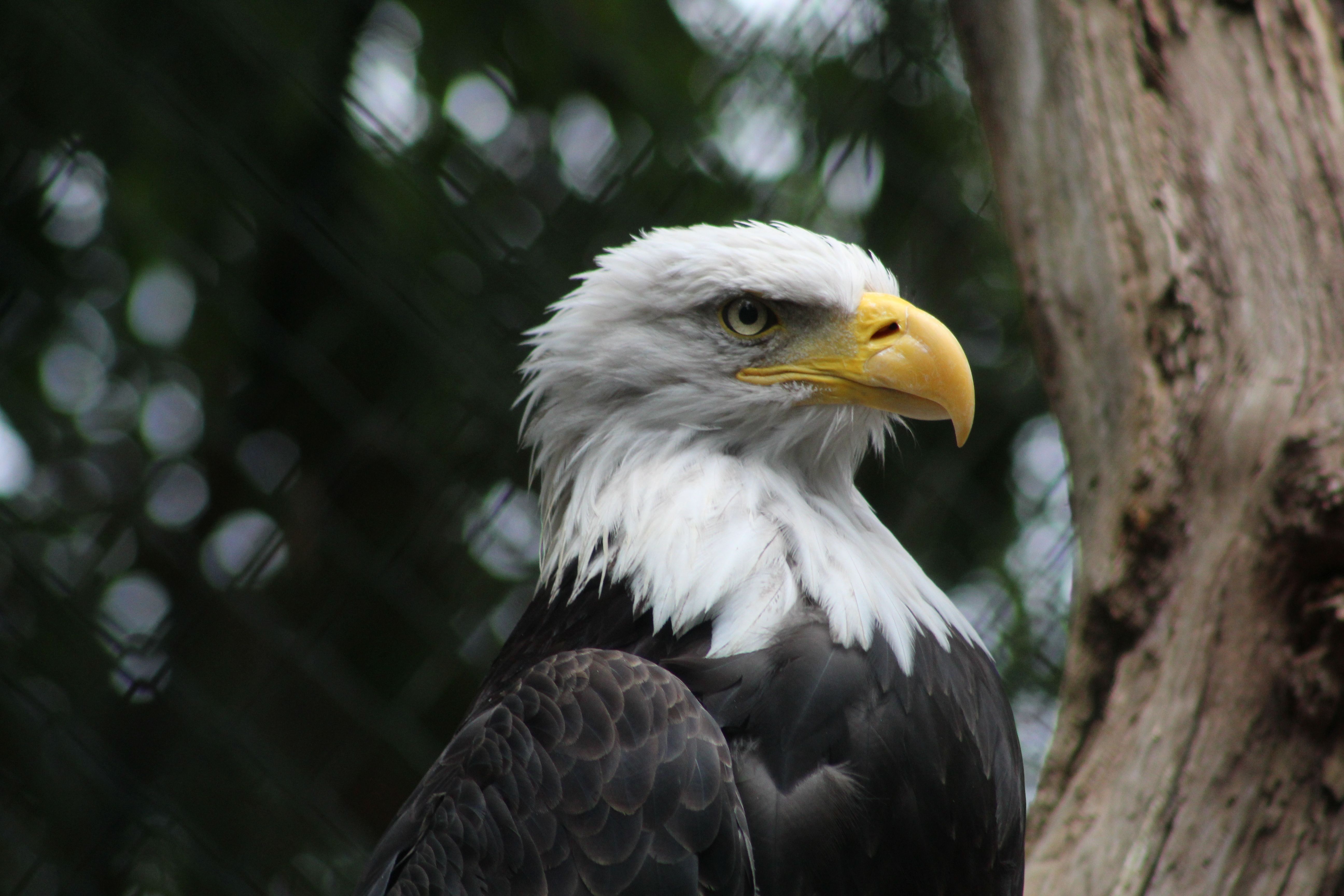 Unbelieveable Animals Photos, Download The BEST Free Unbelieveable ...
