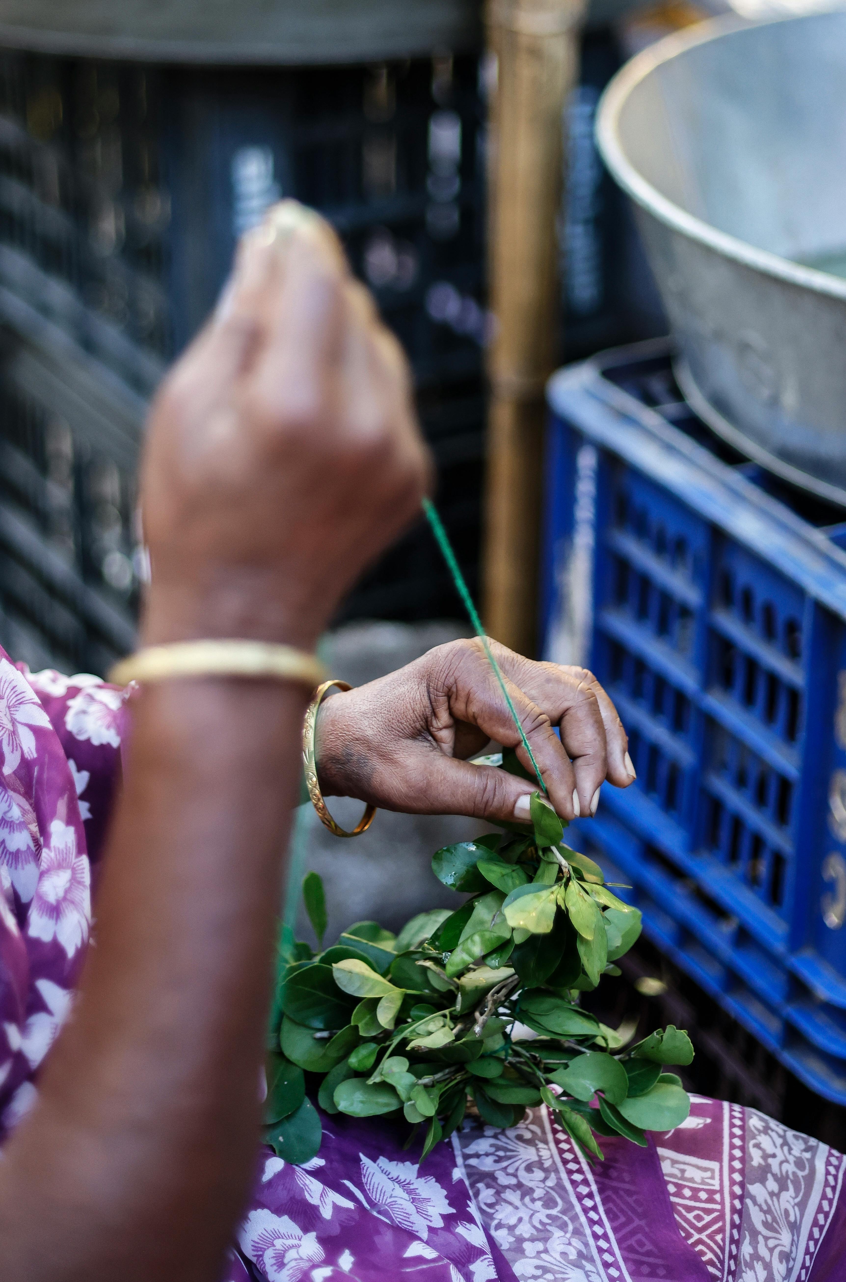 Japanese+Aesthetic+Pfp Photos, Download The BEST Free Japanese ...