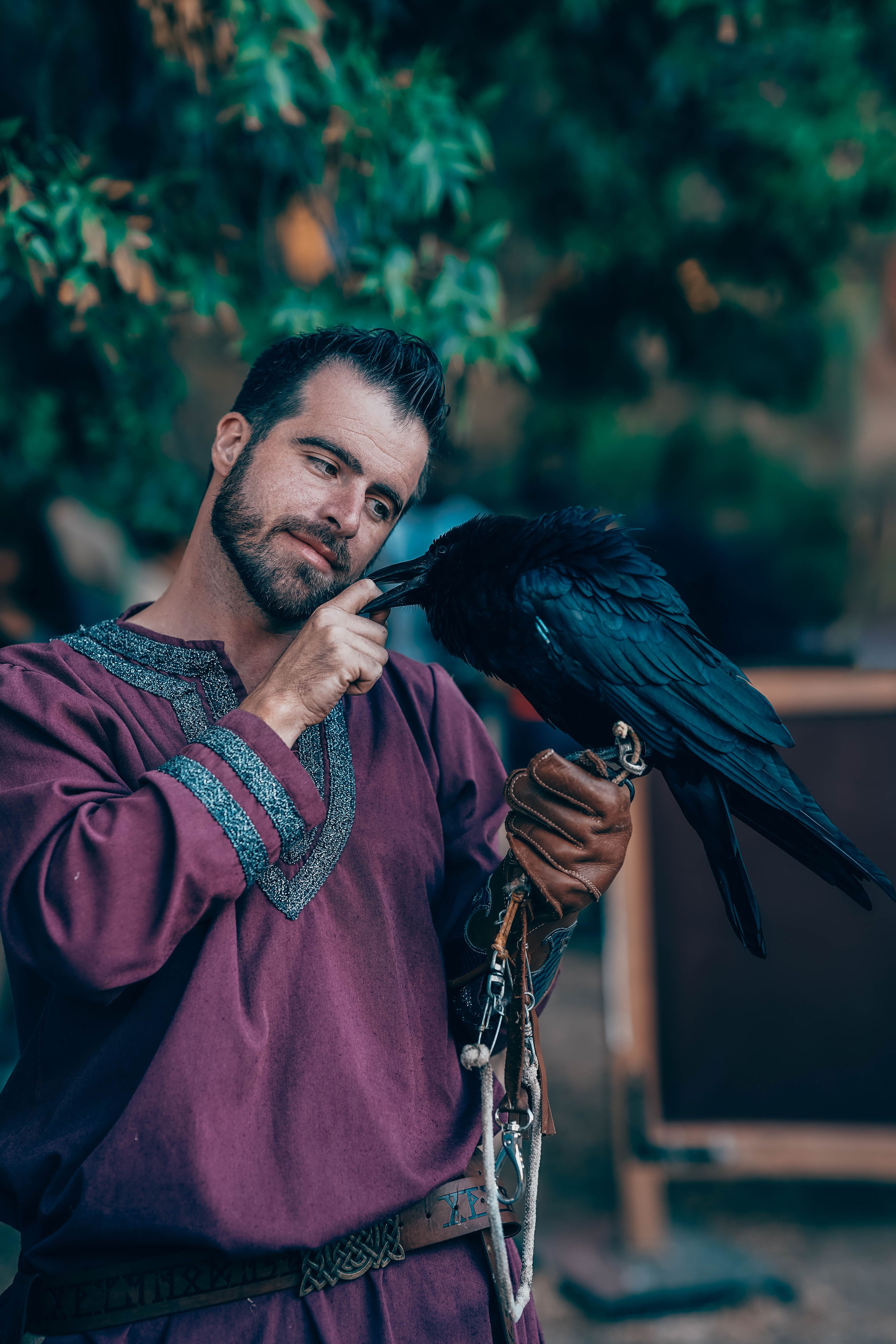 Man Interacting with Raven in Outdoor Setting · Free Stock Photo