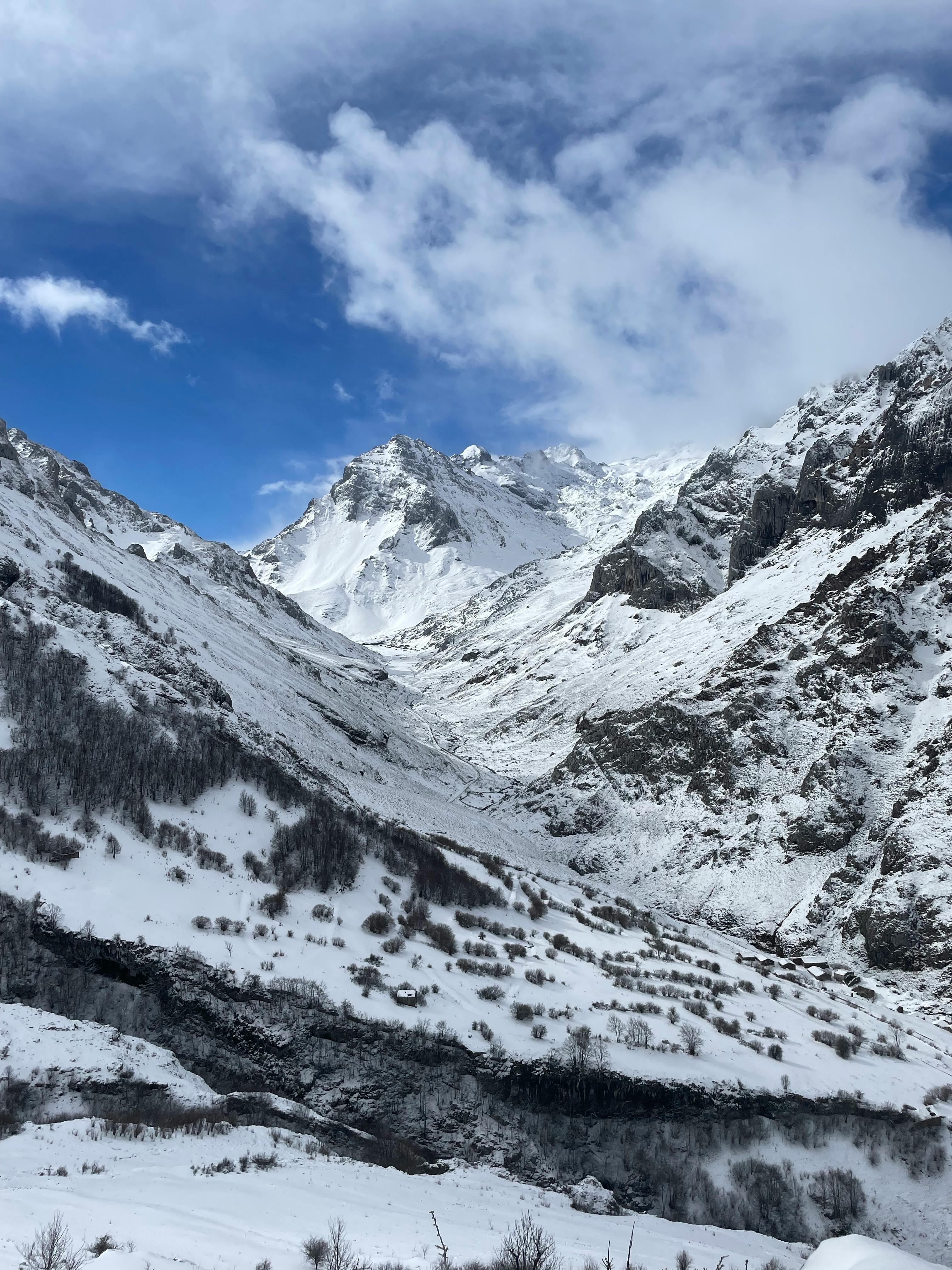 Cobra+Sky+Warrior. Photos, Download The BEST Free Cobra+Sky+Warrior ...