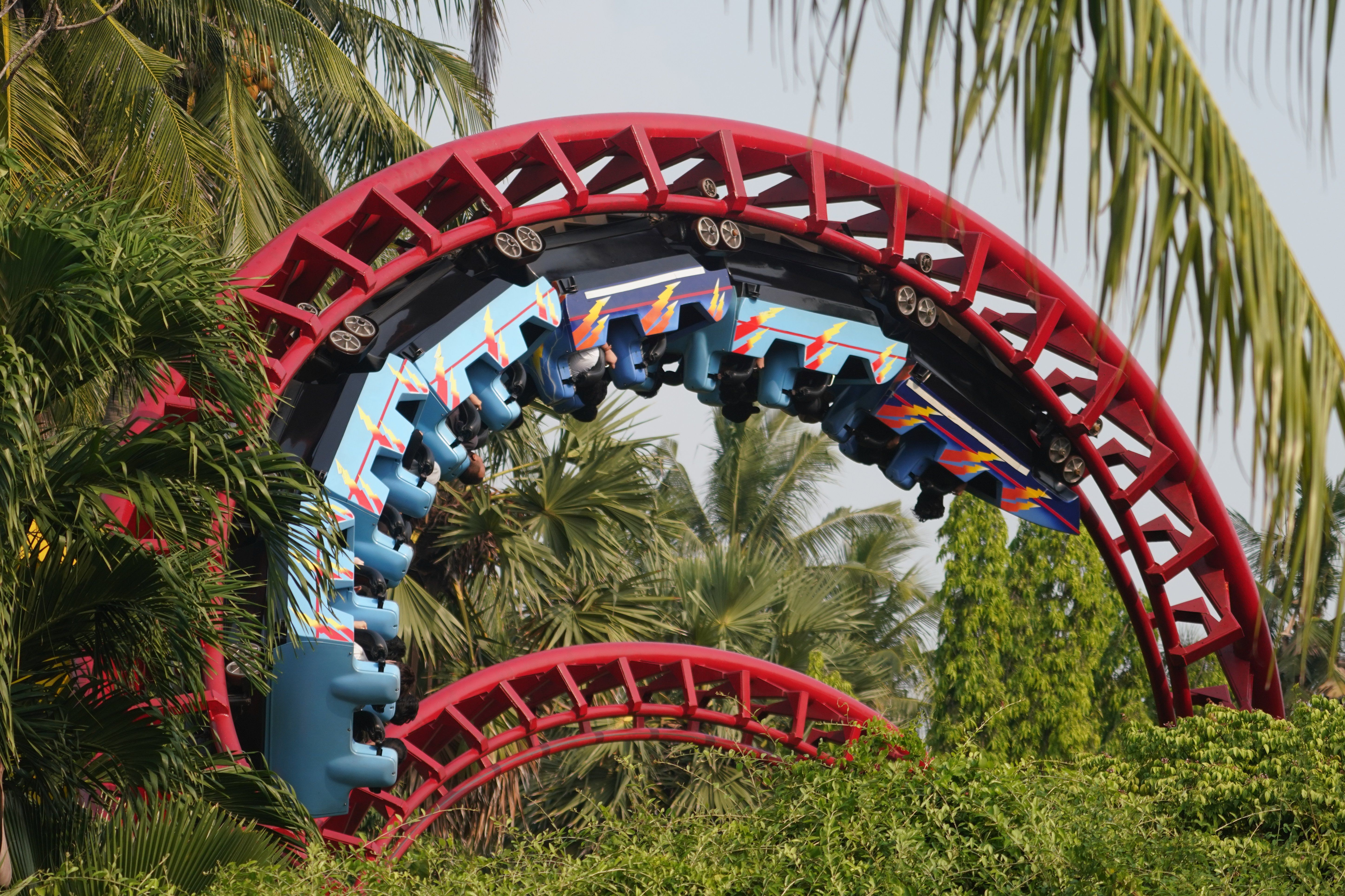 Thrilling Looping Roller Coaster in Tropical Setting · Free Stock Photo