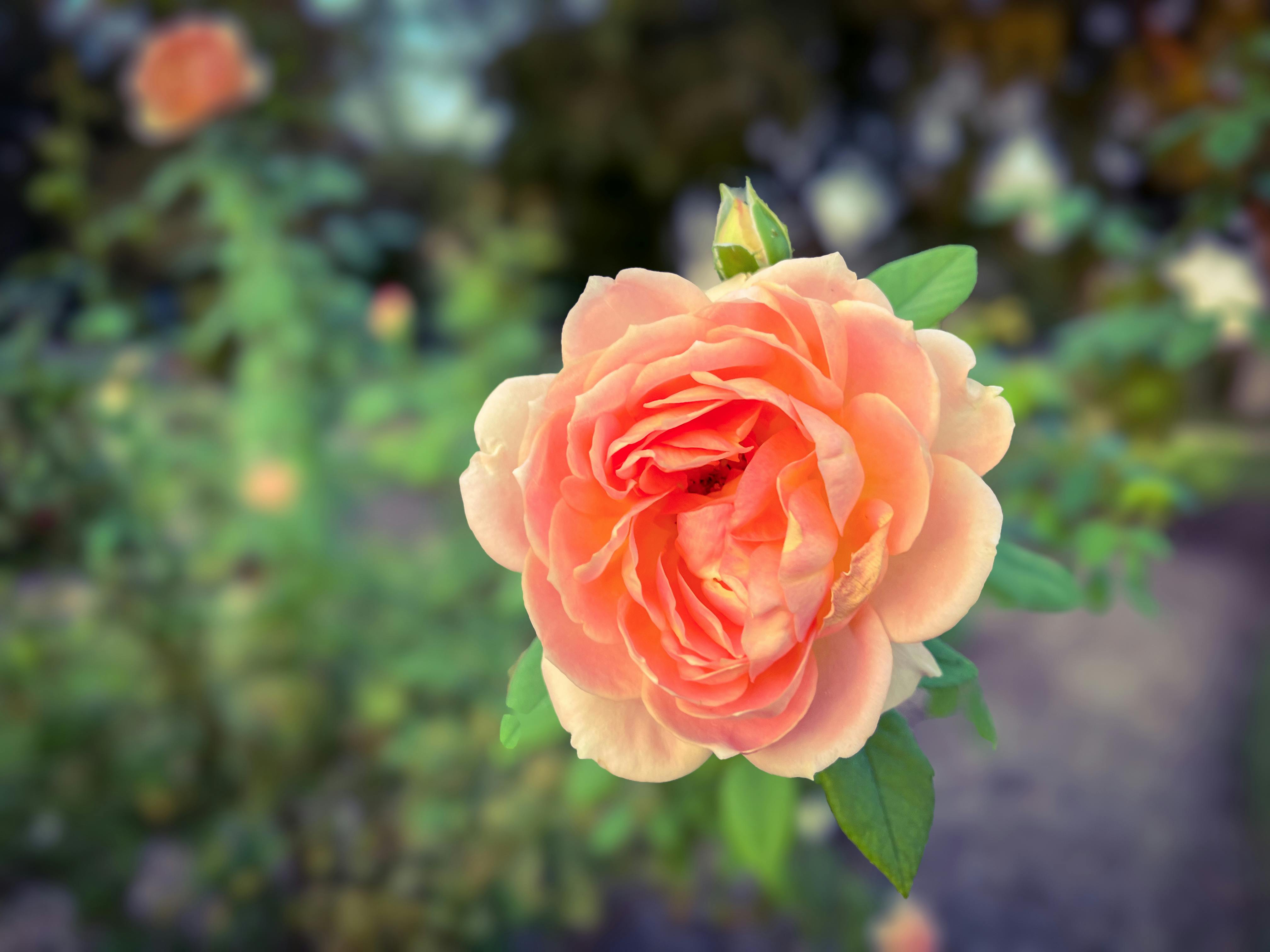 Funny+Retard+Photos Photos, Download The BEST Free Funny+Retard+Photos ...