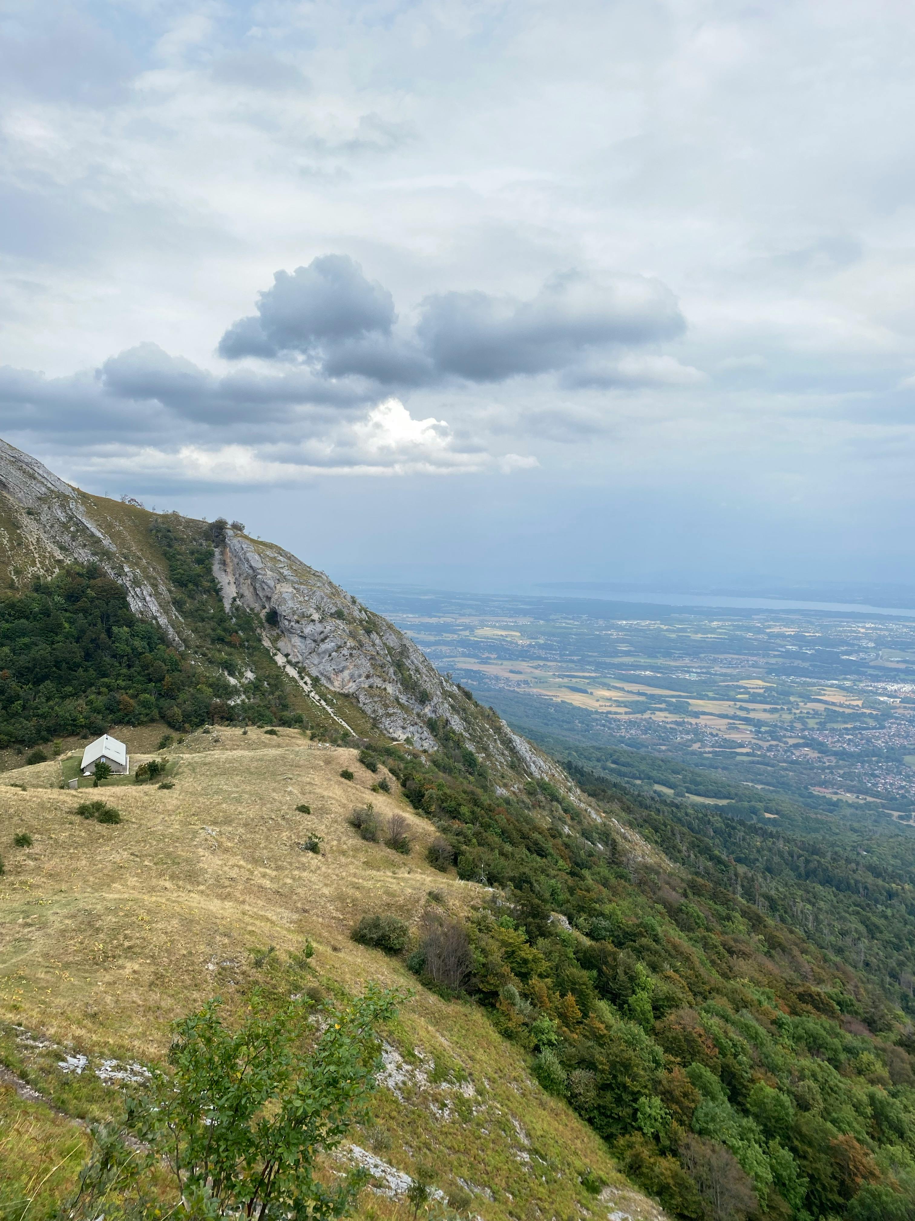 Japanese+Aesthetic+Pfp Photos, Download The BEST Free Japanese ...