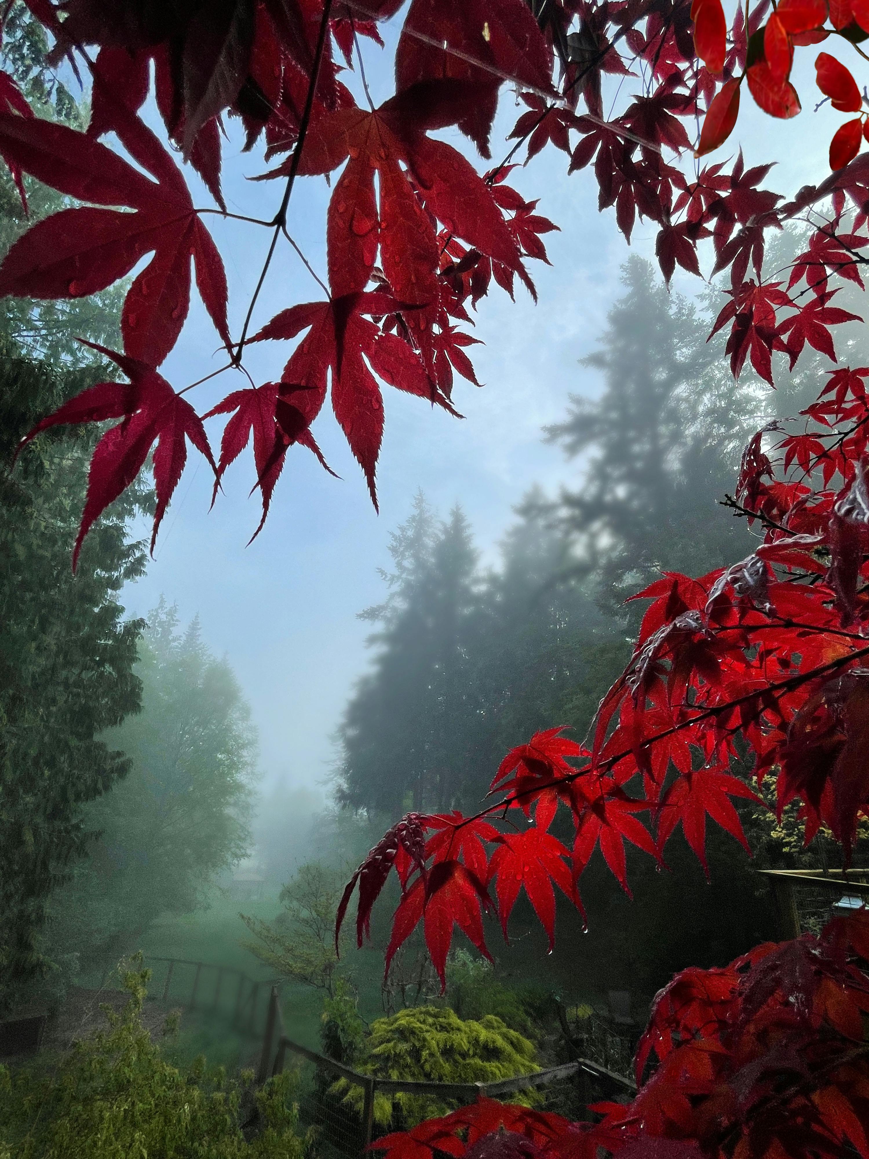 Fall October Photos, Download The BEST Free Fall October Stock Photos ...