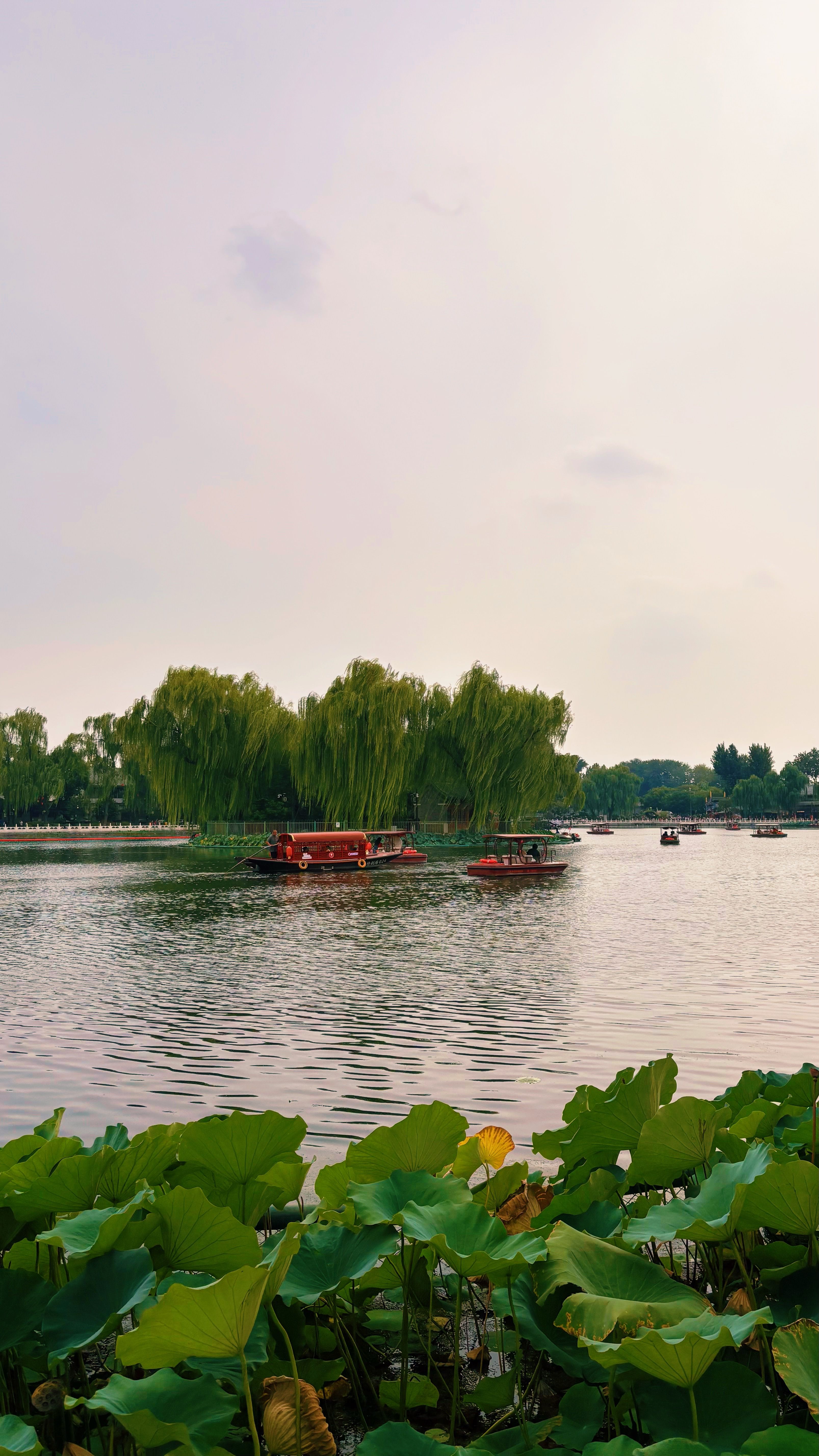 Serene Boating Scene at Beijing's Summer Palace Lake · Free Stock Photo