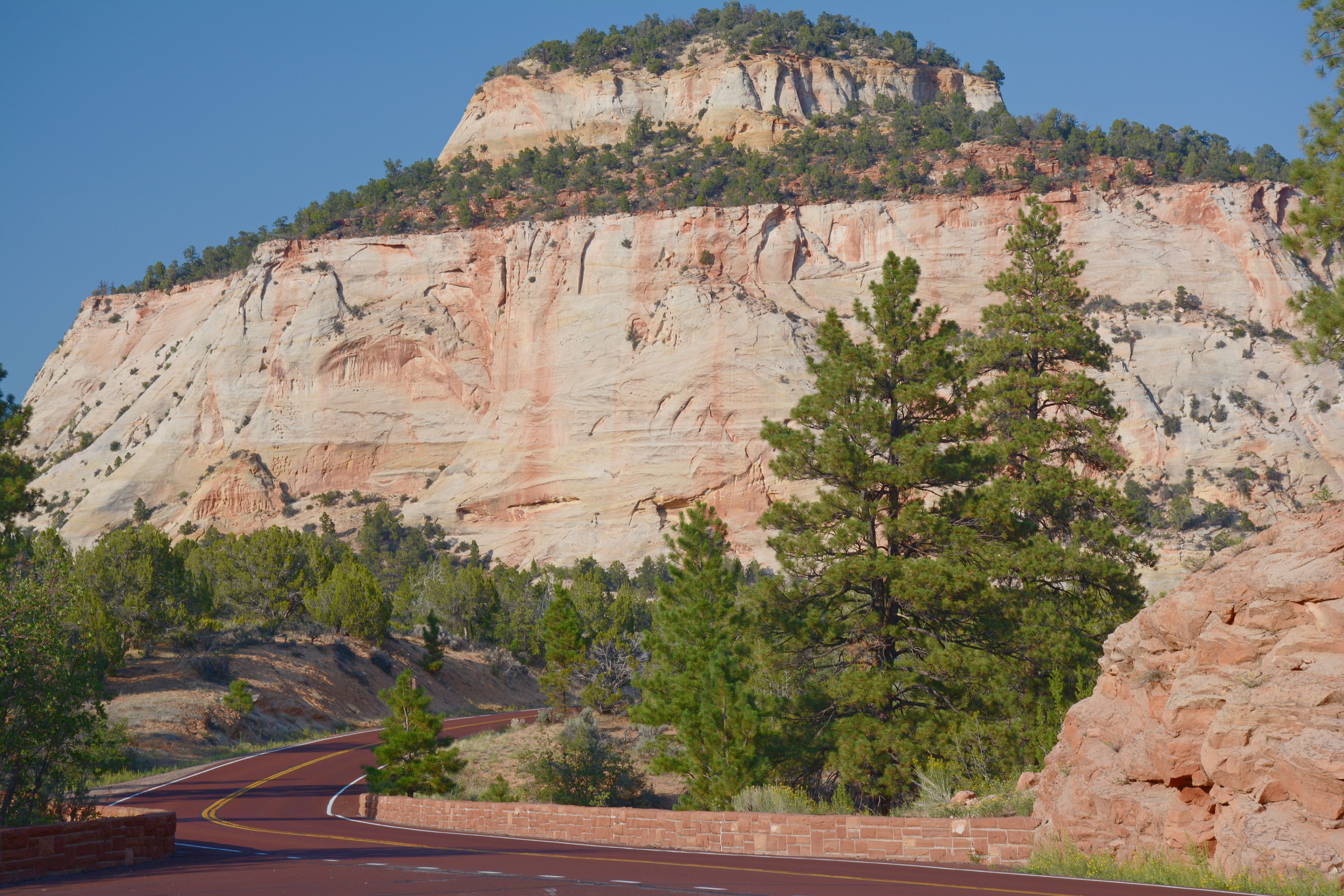 Scenic Utah Red Rock Landscape with Pine Trees · Free Stock Photo