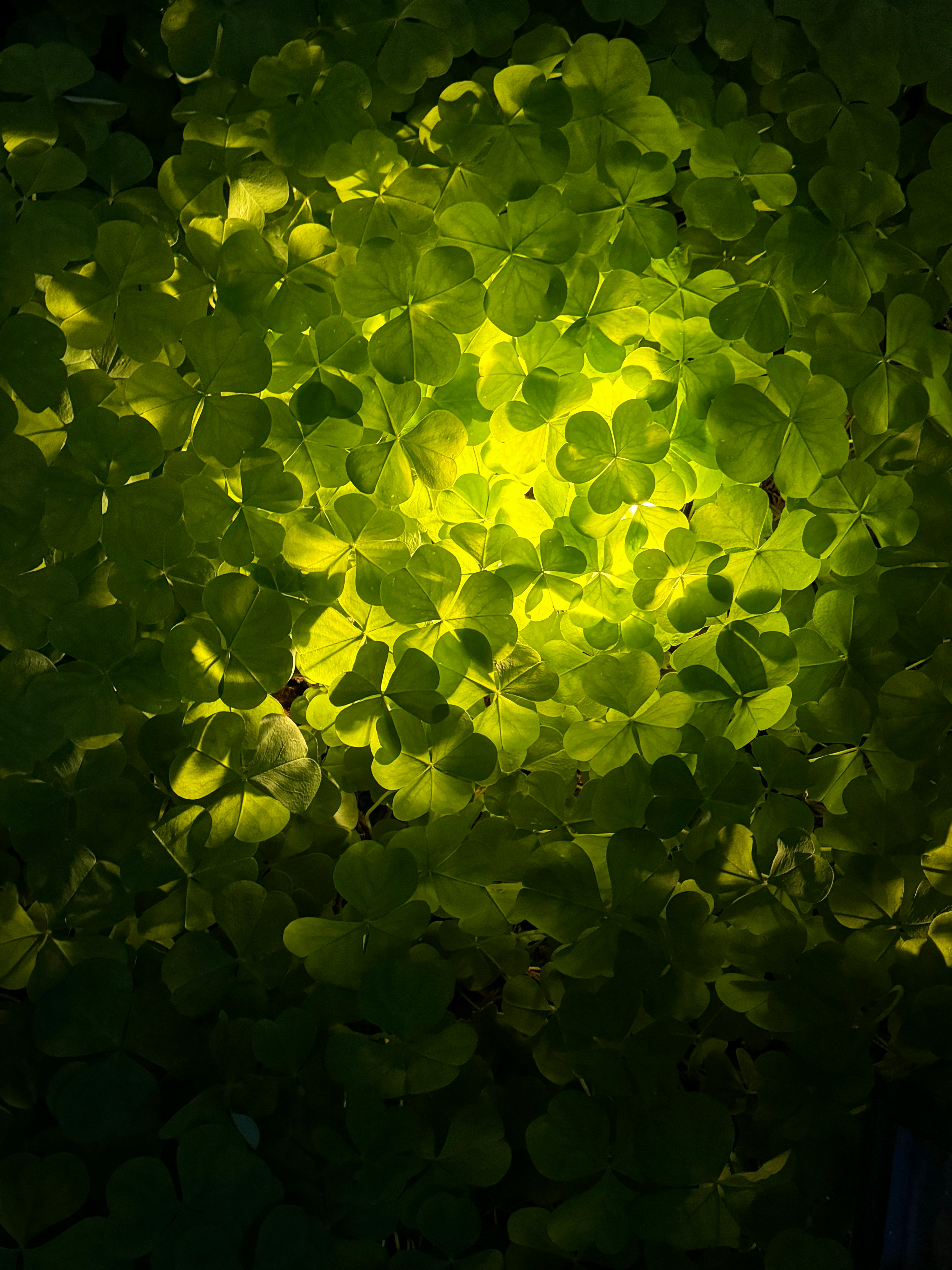 Taylor Swift Life Of A Showgirl Photos, Download The BEST Free Taylor ...