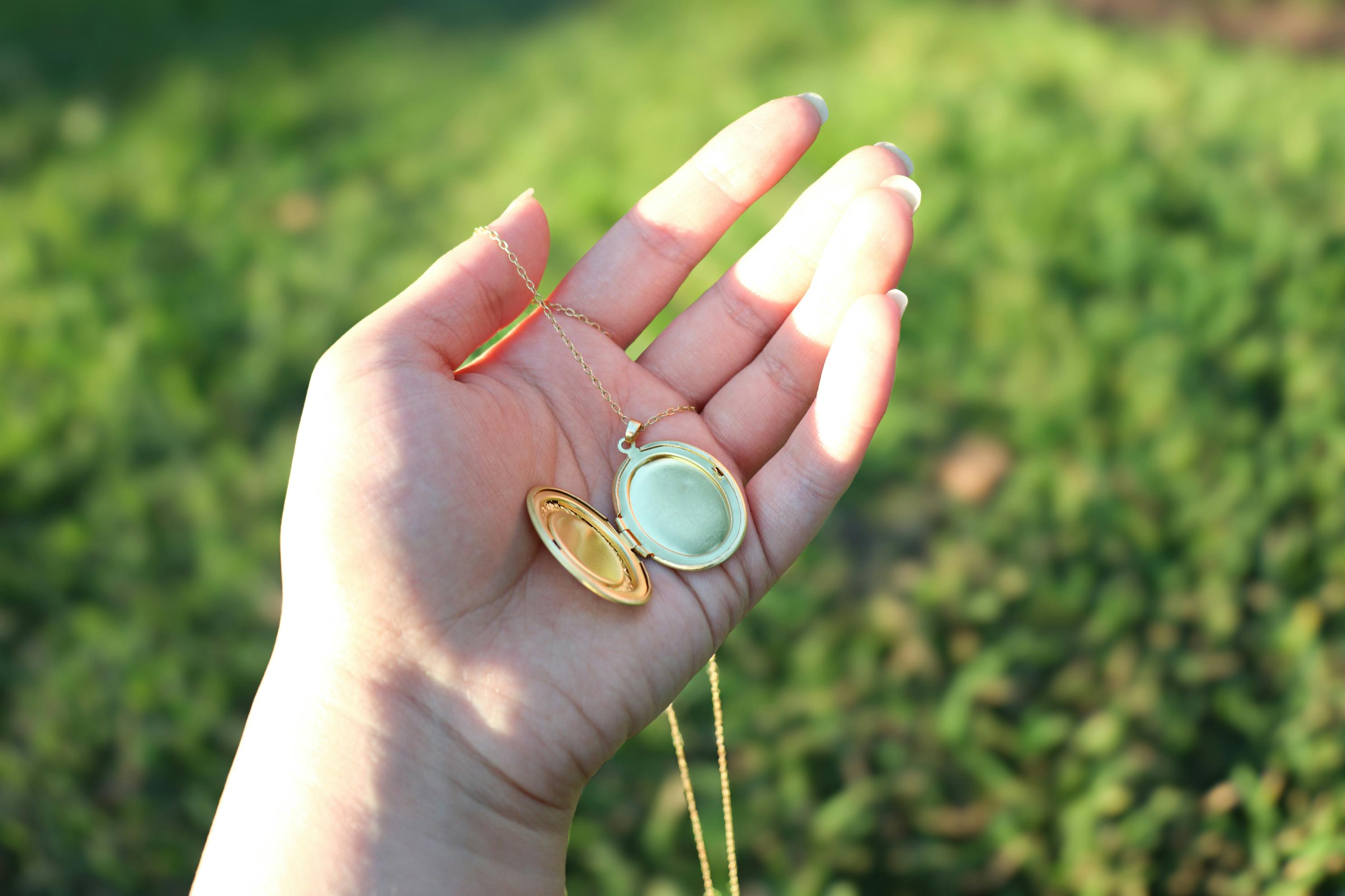 Spider+Solitaire+Brown+Background Photos, Download The BEST Free Spider ...