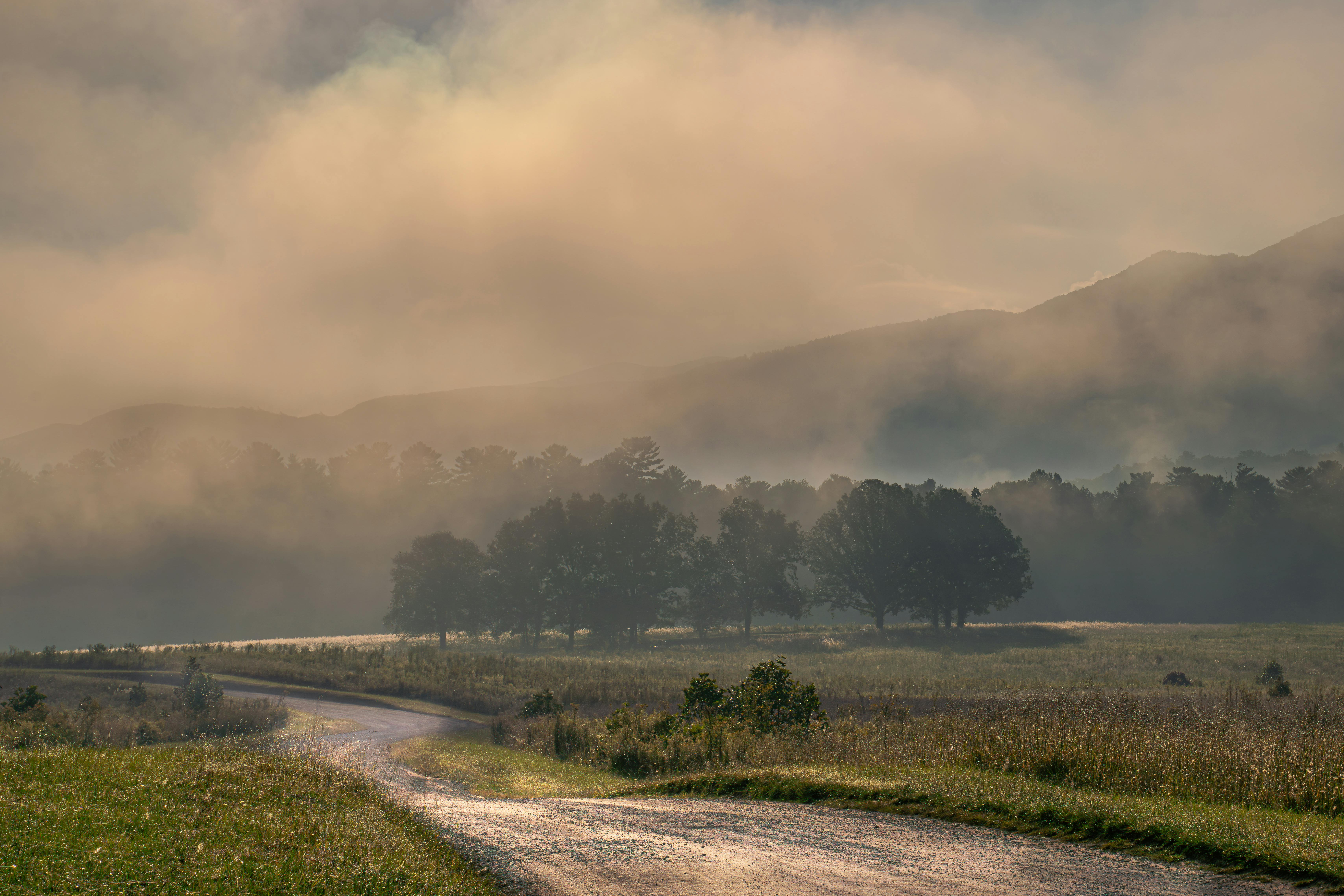 Morning Scenery Photos, Download The BEST Free Morning Scenery Stock ...