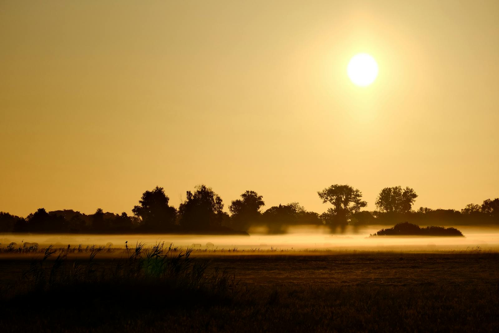 Rising Sun Photos, Download The BEST Free Rising Sun Stock Photos & HD ...