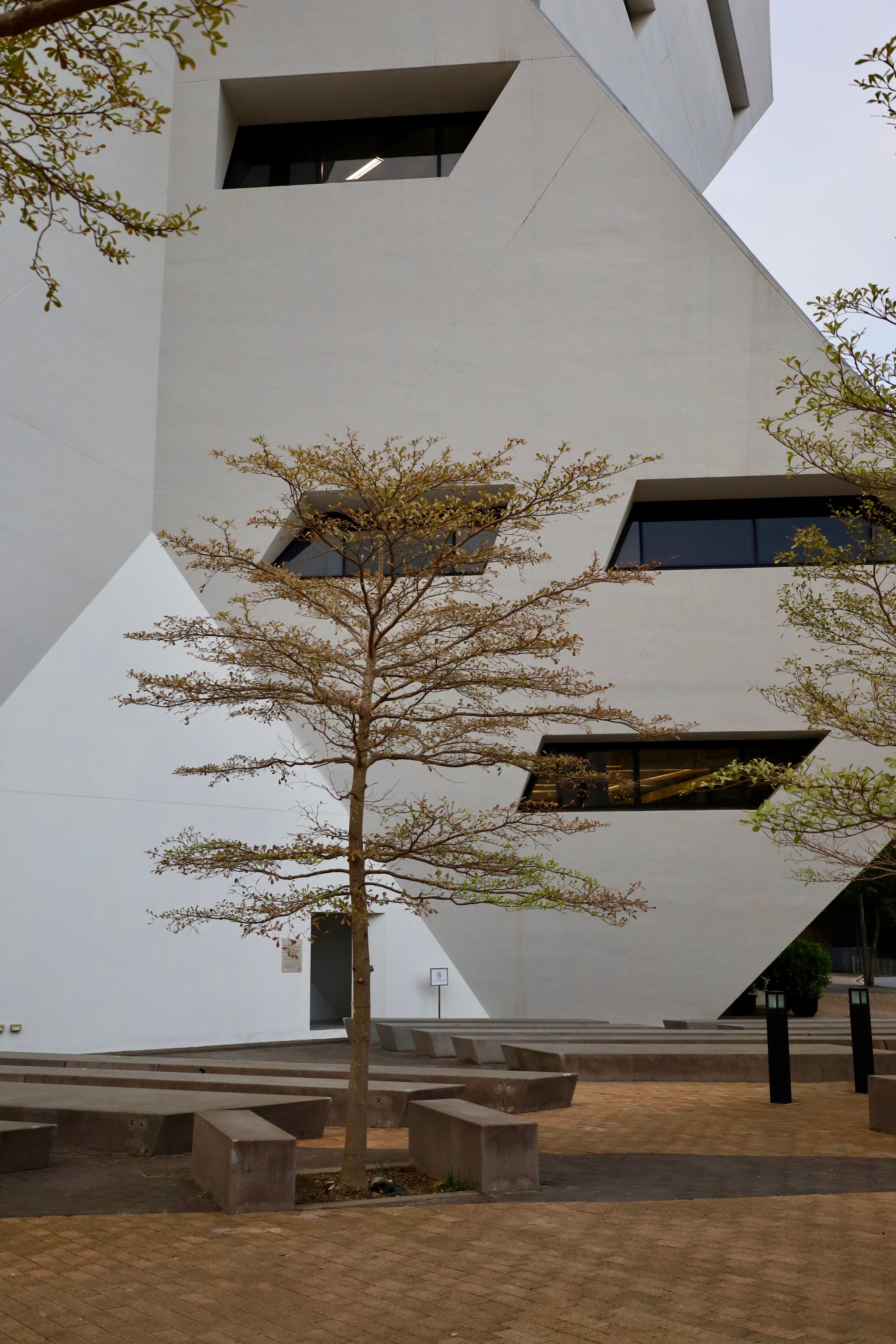 Modern Architectural Building with Tree View · Free Stock Photo